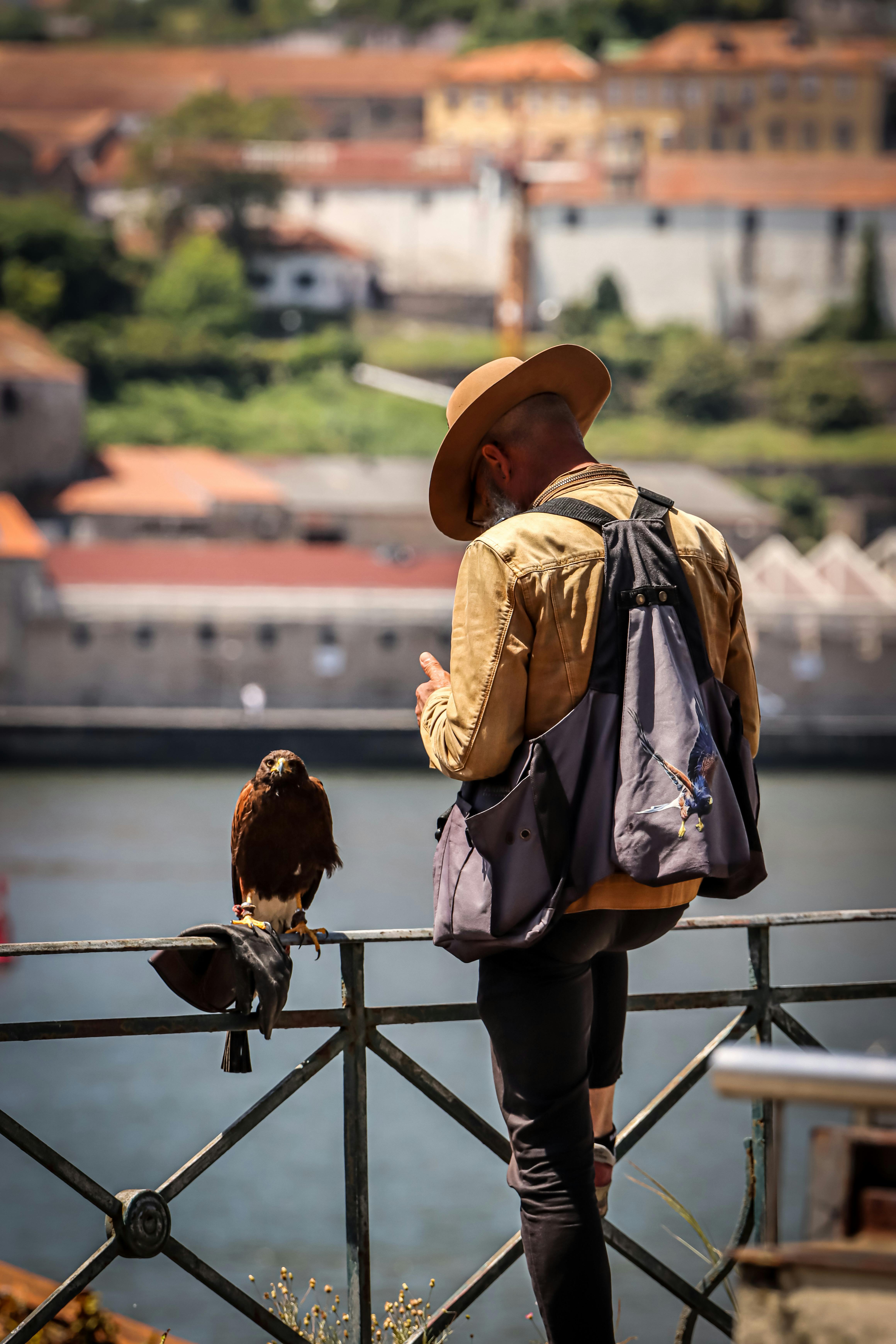 Statusrapporten Falcon Grip Photos, Download The BEST Free ...