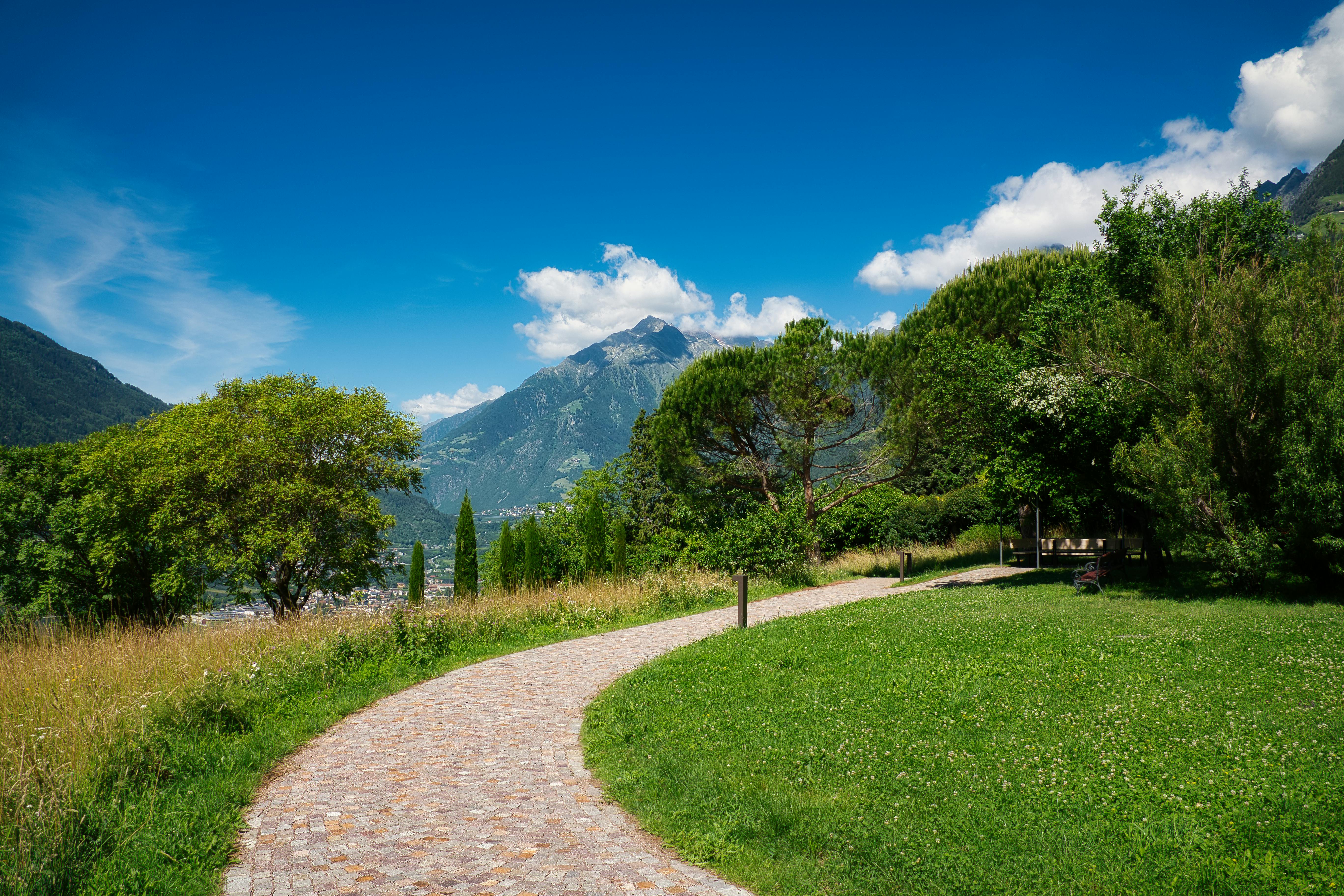 Bending Cobblestone Road in Alpine Landscape · Free Stock Photo