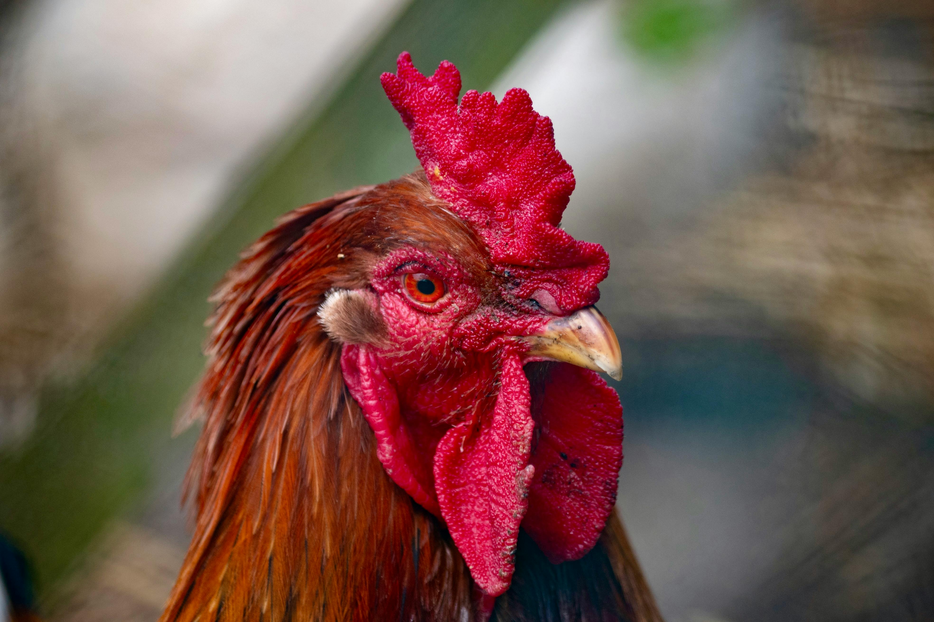 London Zoomed Out Photos, Download The BEST Free London Zoomed Out ...