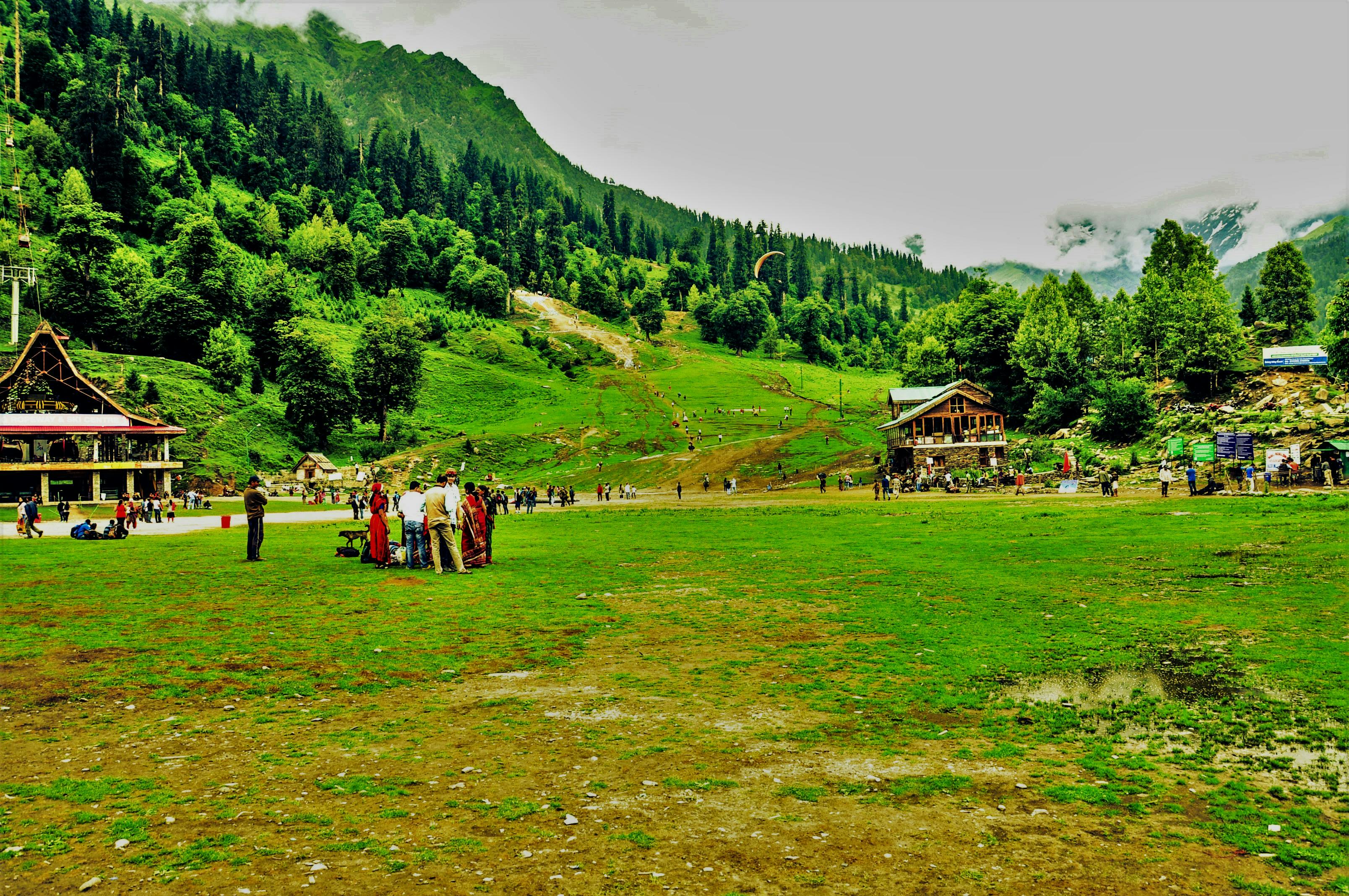 Free stock photo of natue