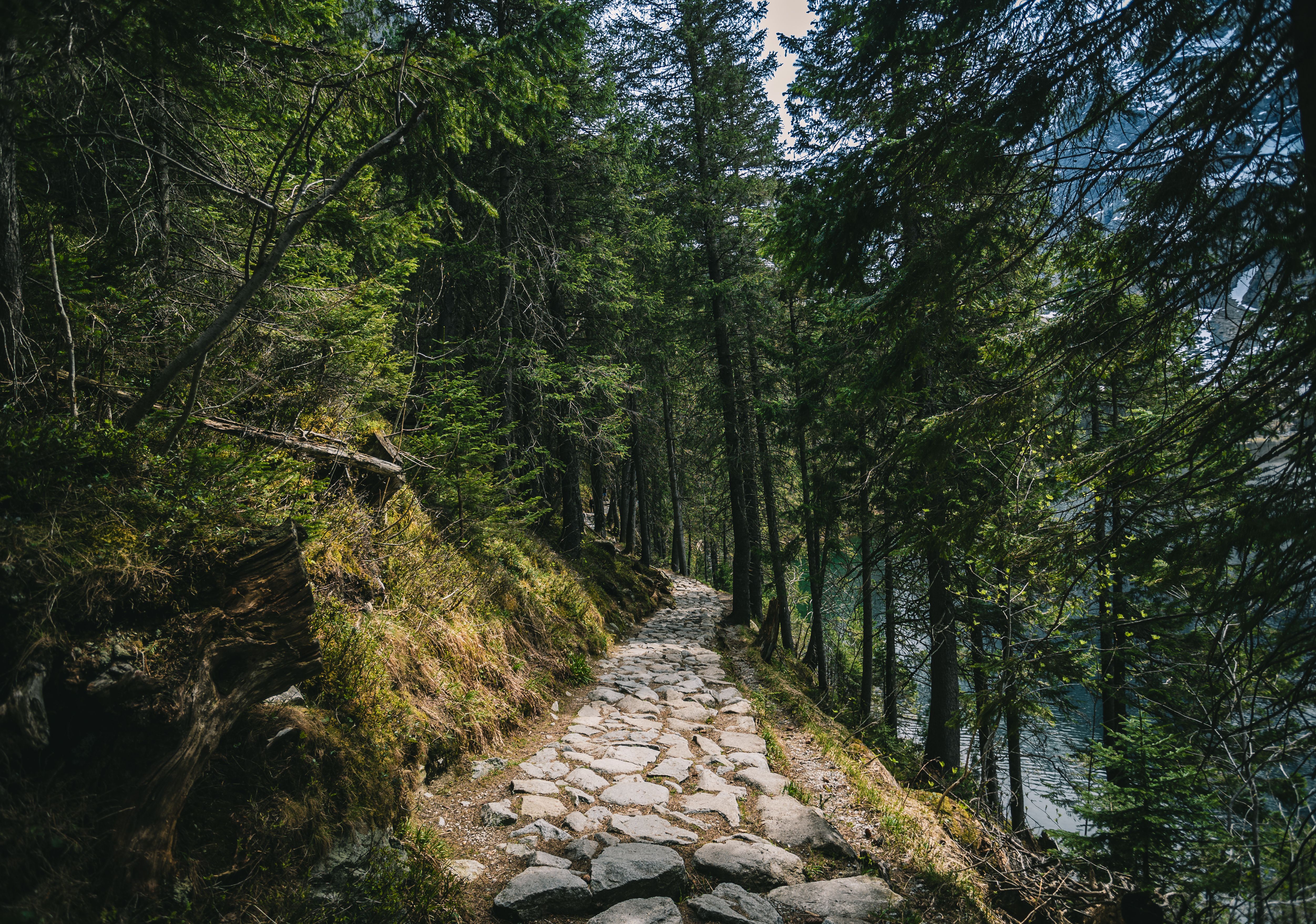 Trail on a Mountain · Free Stock Photo