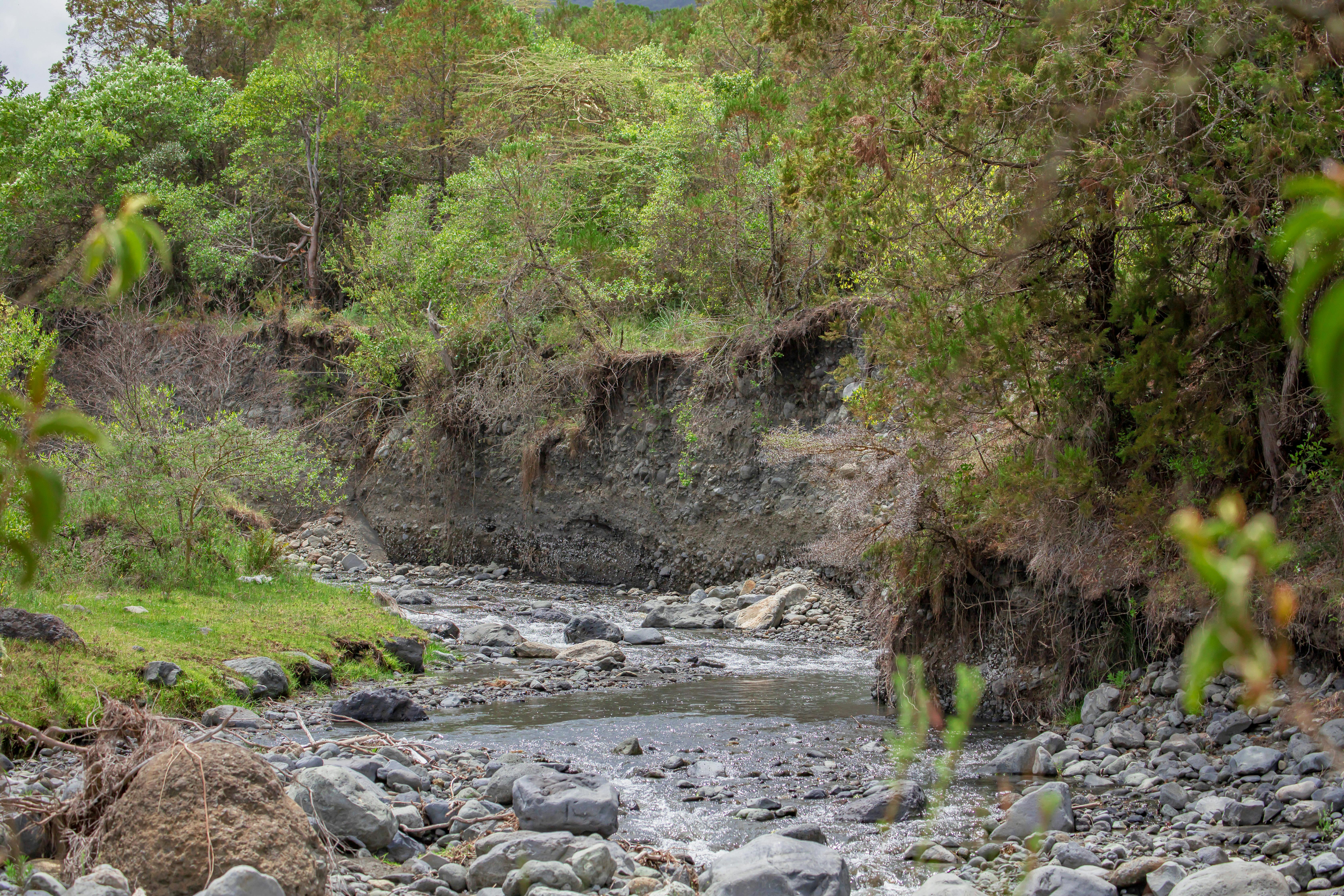 Stream Backgrounds Photos, Download The BEST Free Stream Backgrounds ...