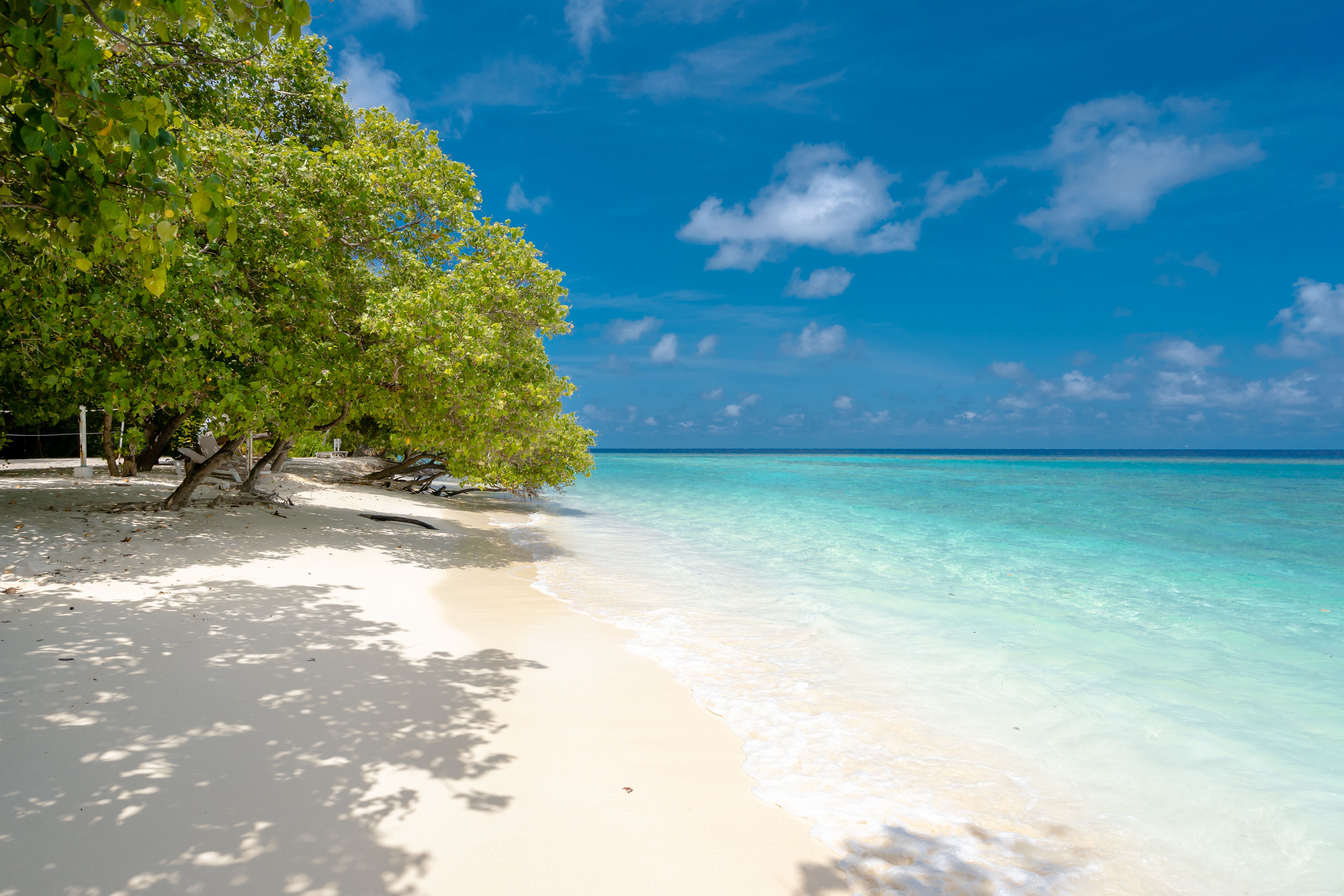 Ocean View · Free Stock Photo