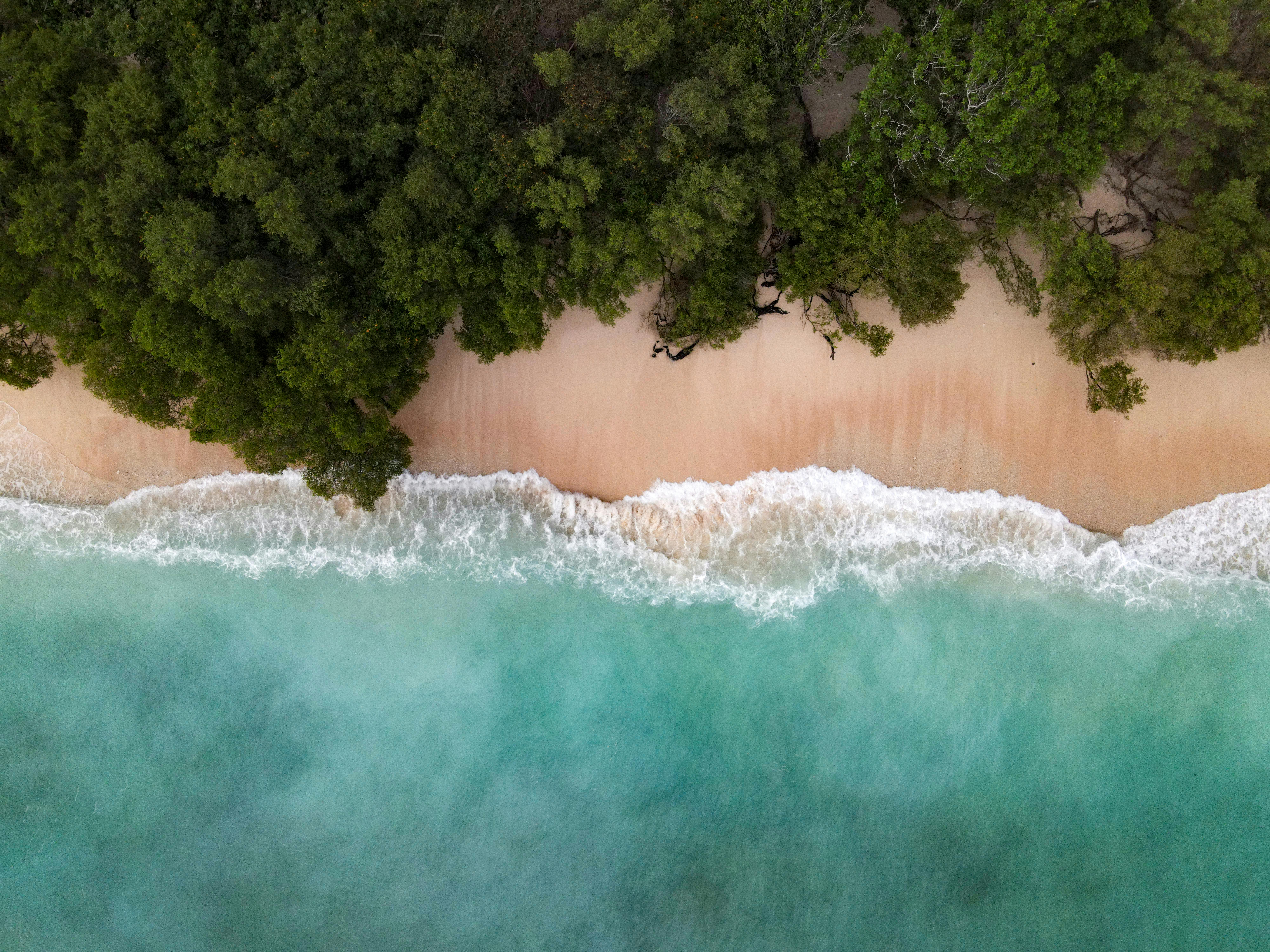 Aerial View of a Sandy Beach · Free Stock Photo