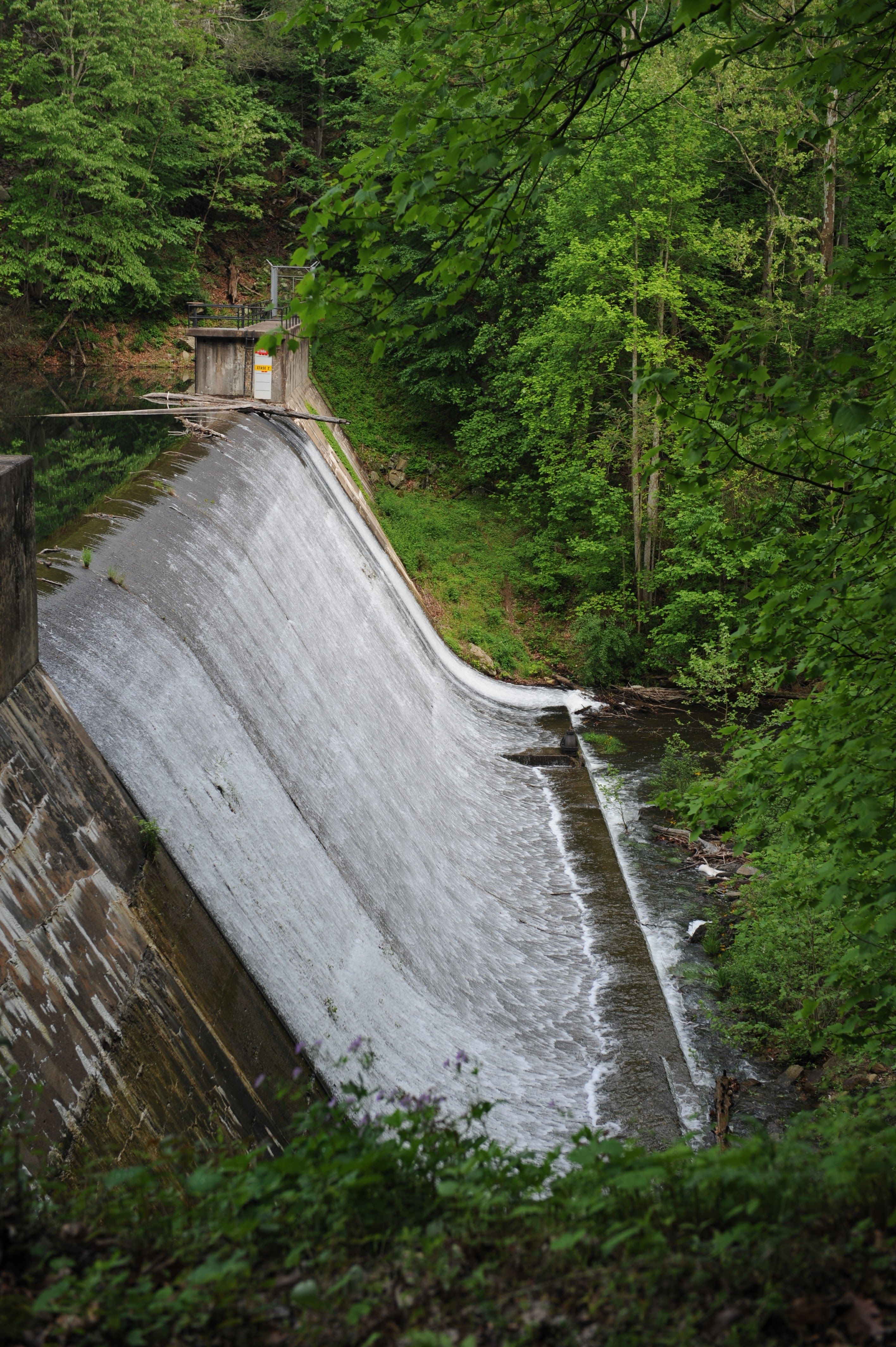 View of a Dam on a River in a Forest · Free Stock Photo