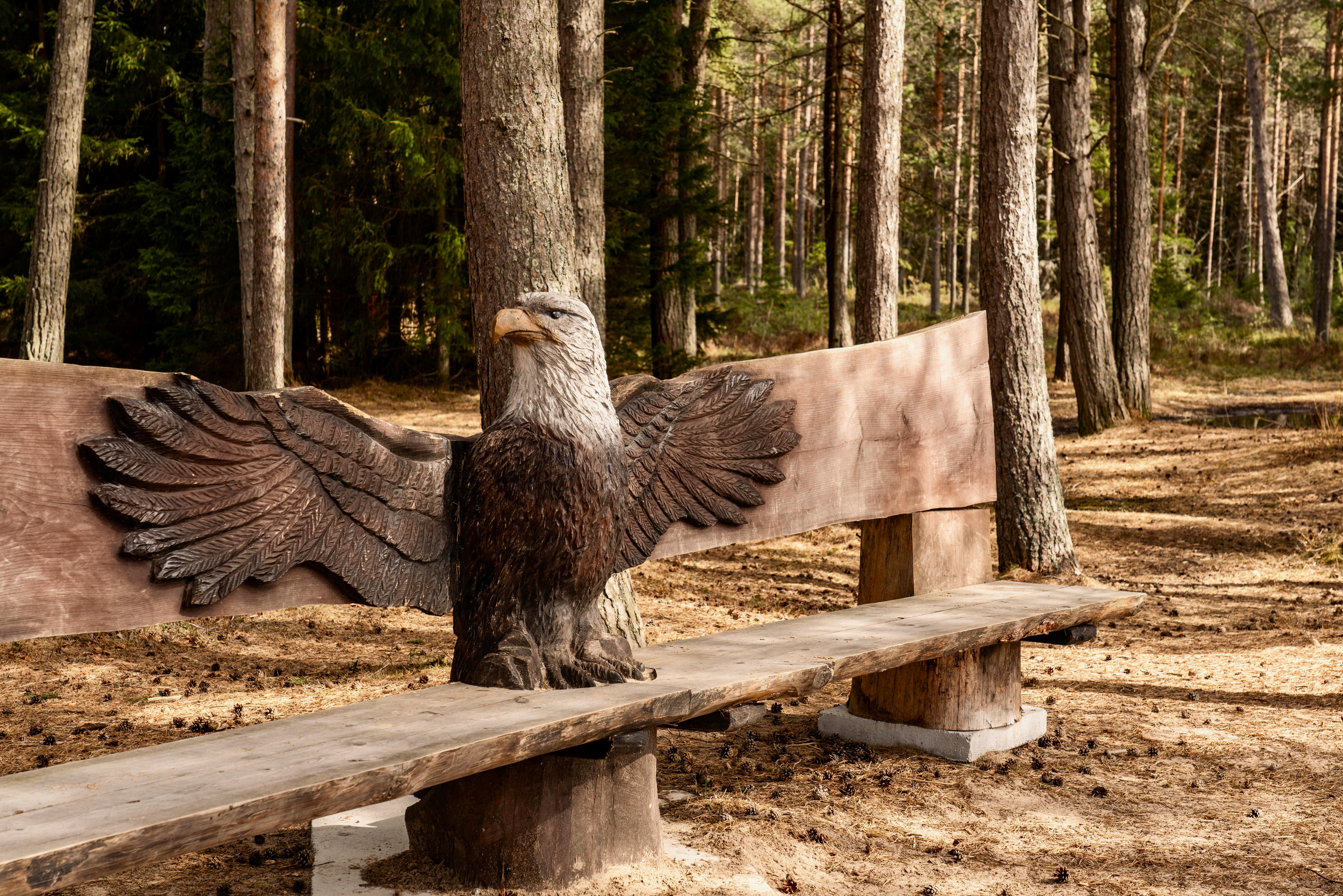 Bald Eagle Carved in Bench · Free Stock Photo