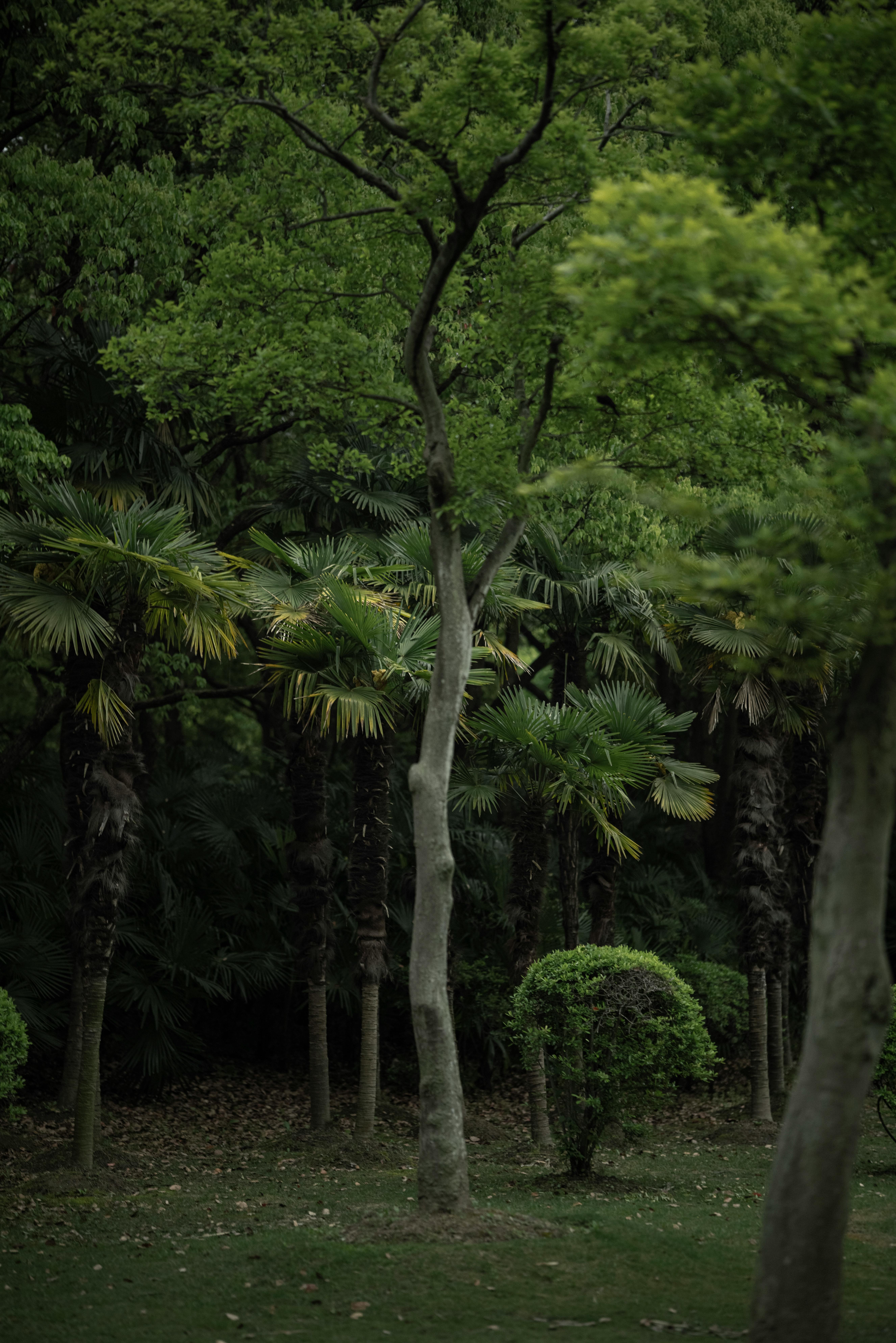 Edge Afbeeldingen Photos, Download The BEST Free Edge Afbeeldingen ...