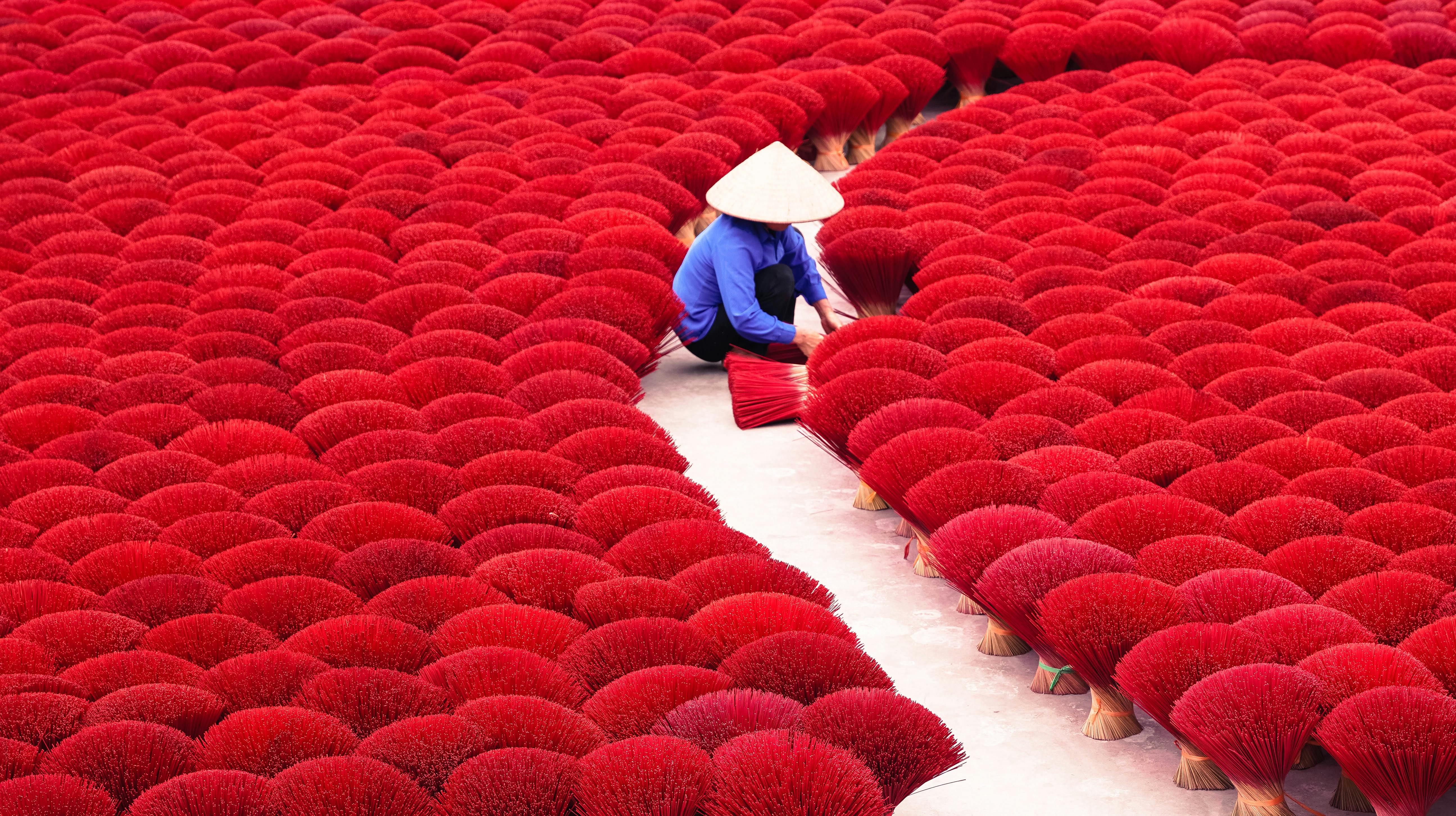 Person Wearing Conical Hat Collecting Red Dried Incense Sticks · Free ...