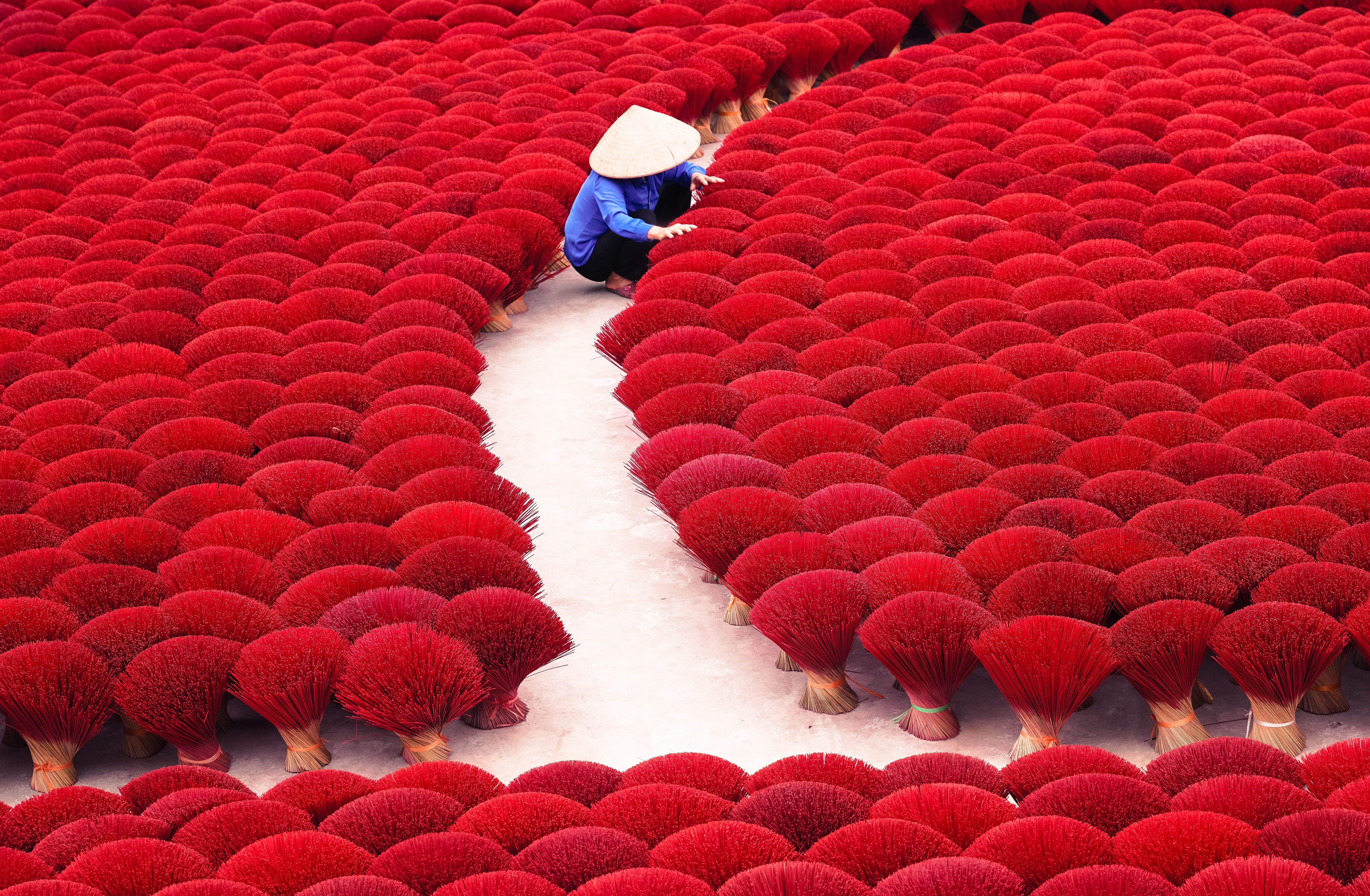 Woman Working on Incense Plantation · Free Stock Photo