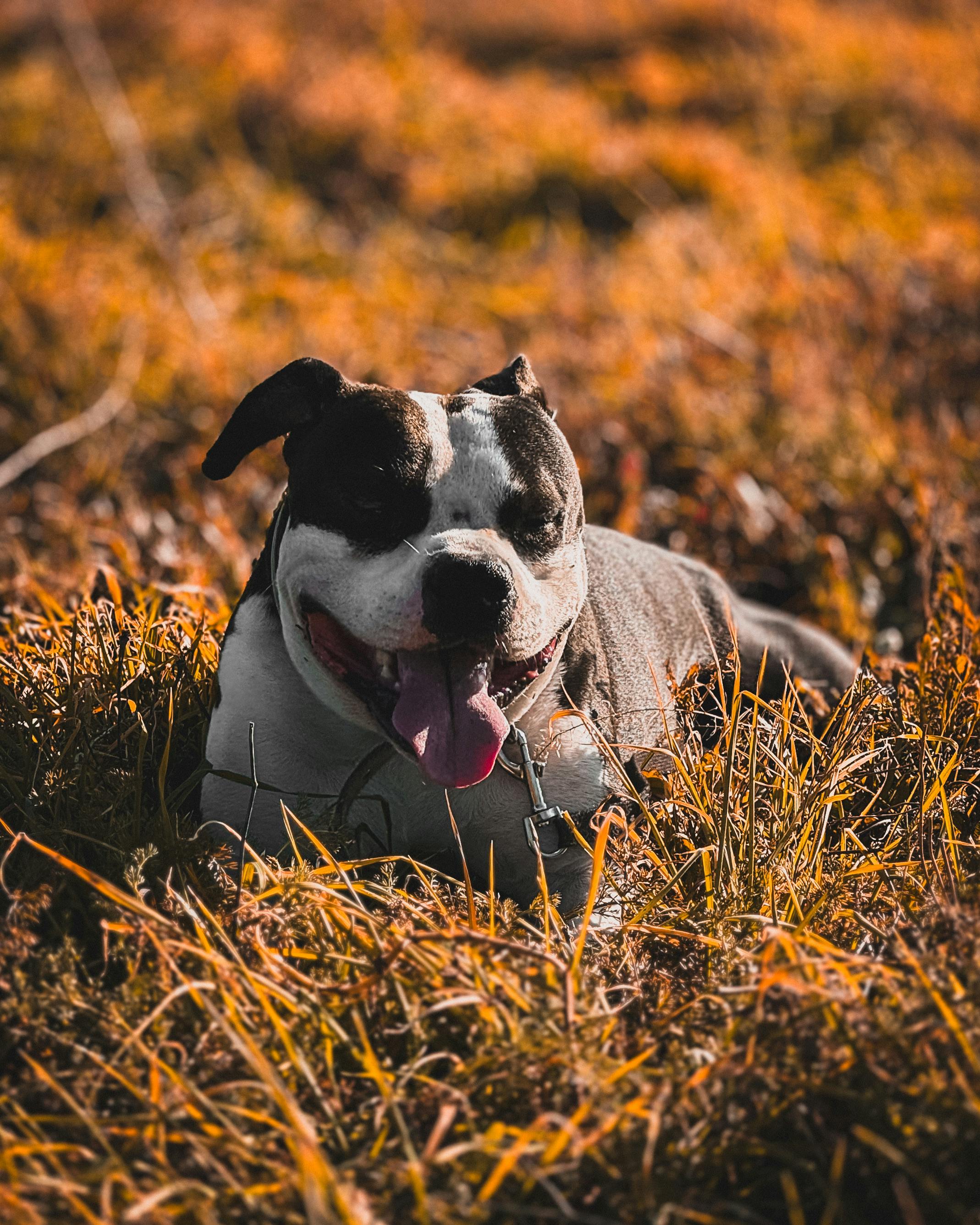 Ivan Georgiev - Photography