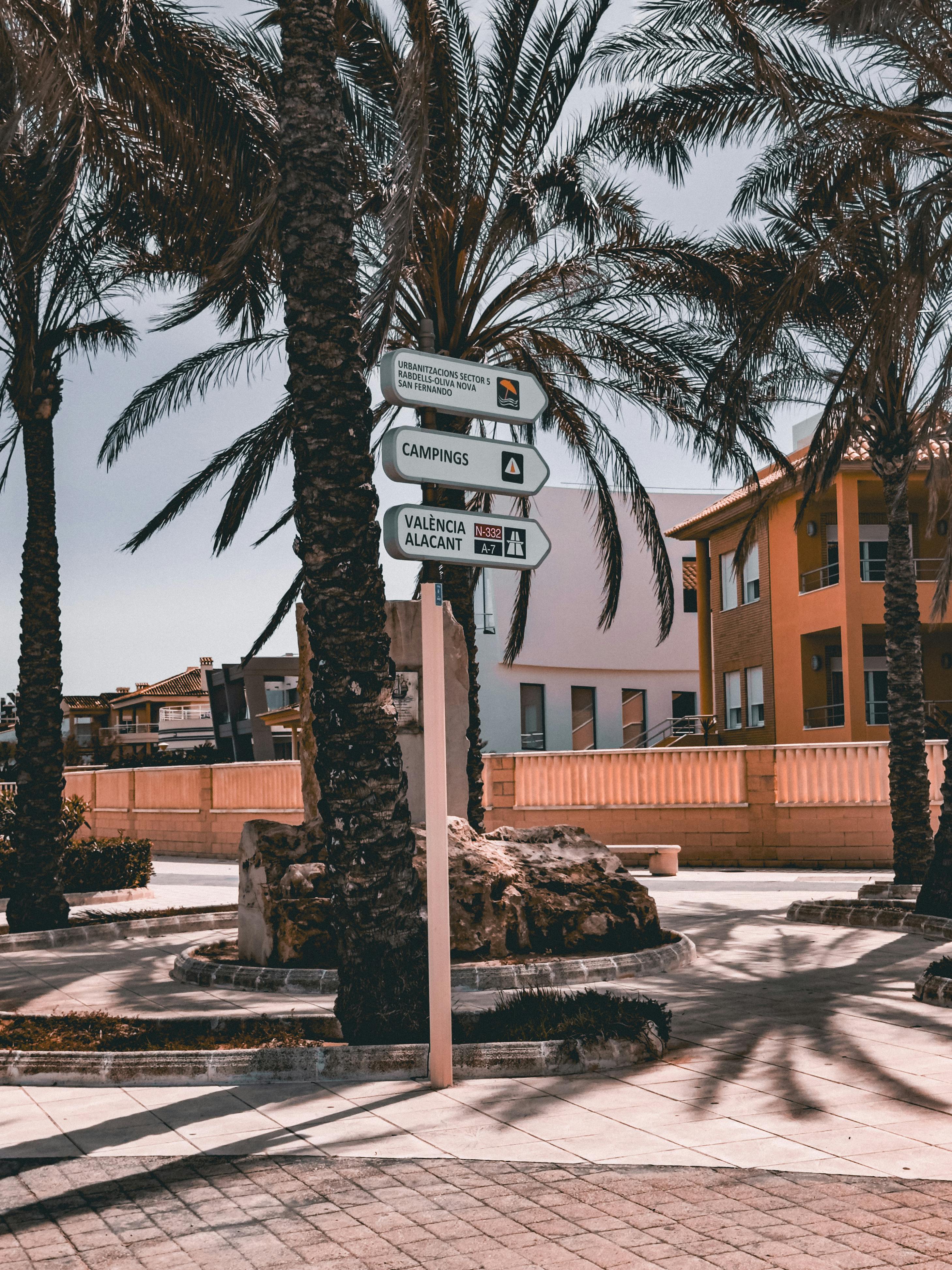 Ivan Georgiev - Photography