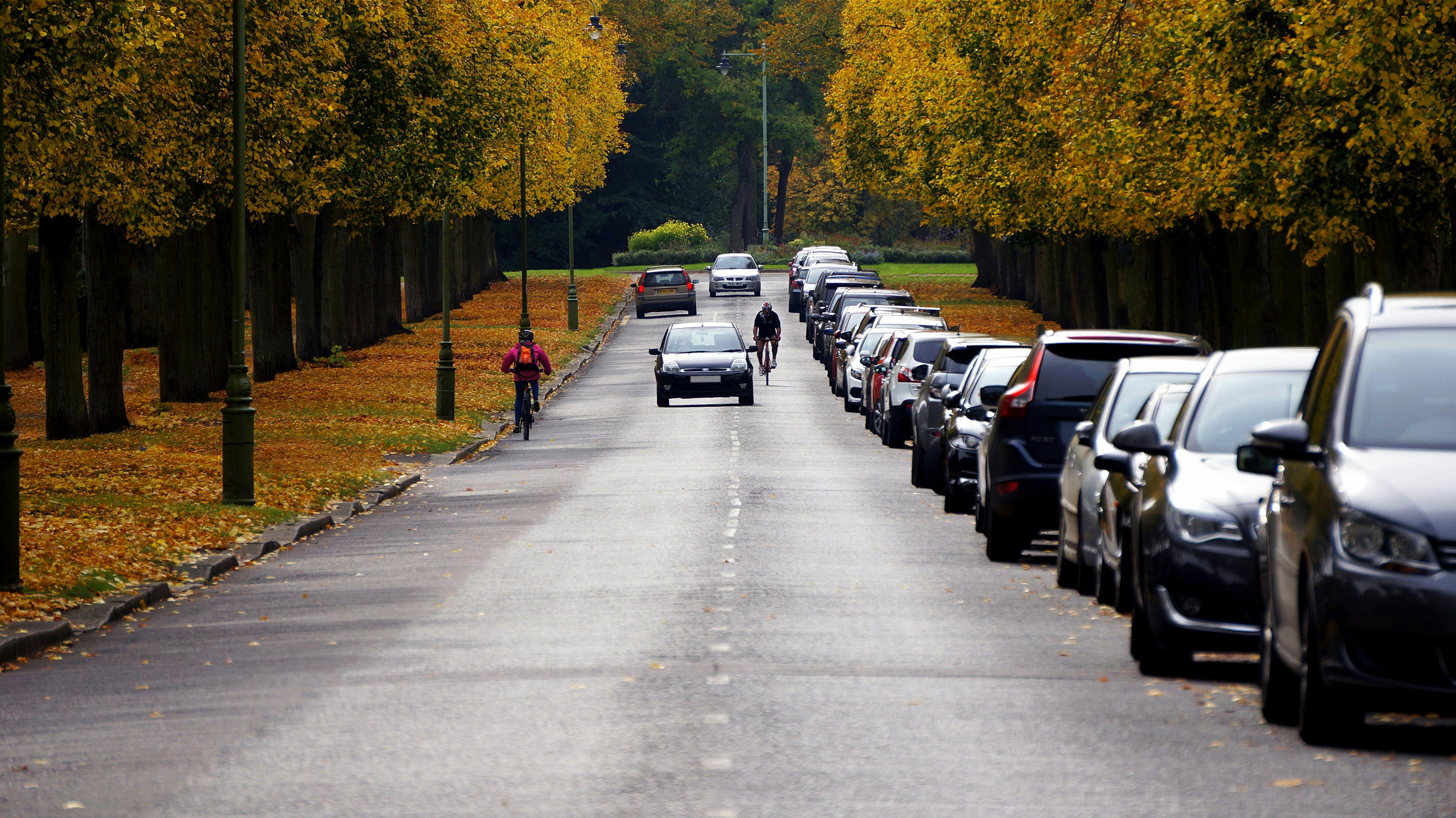 Vehicles On Road Near Trees · Free Stock Photo
