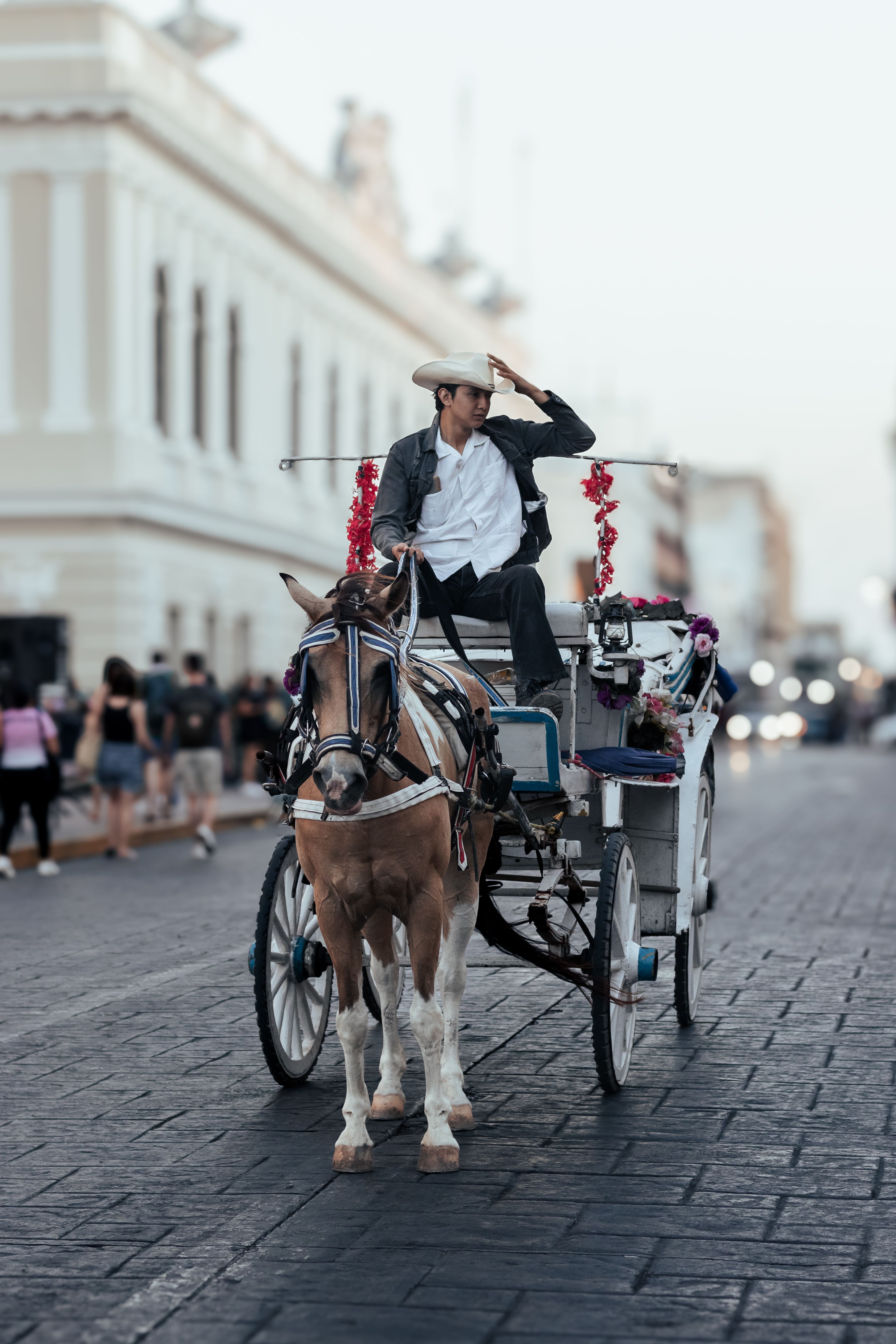 A Man Riding a Horse Carriage through the Streets of the Old Town ...