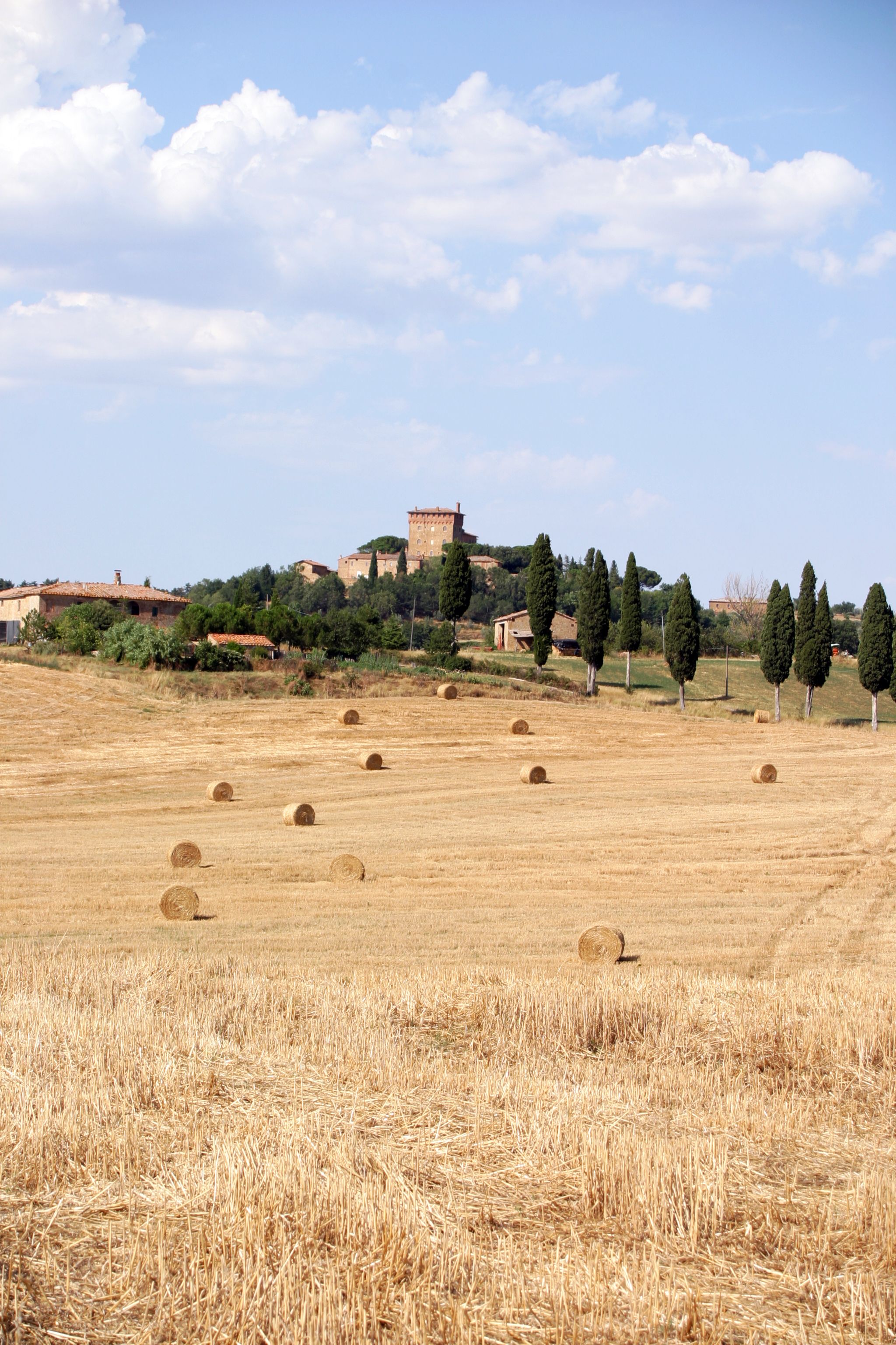 Hay Fever Photos, Download The BEST Free Hay Fever Stock Photos & HD Images