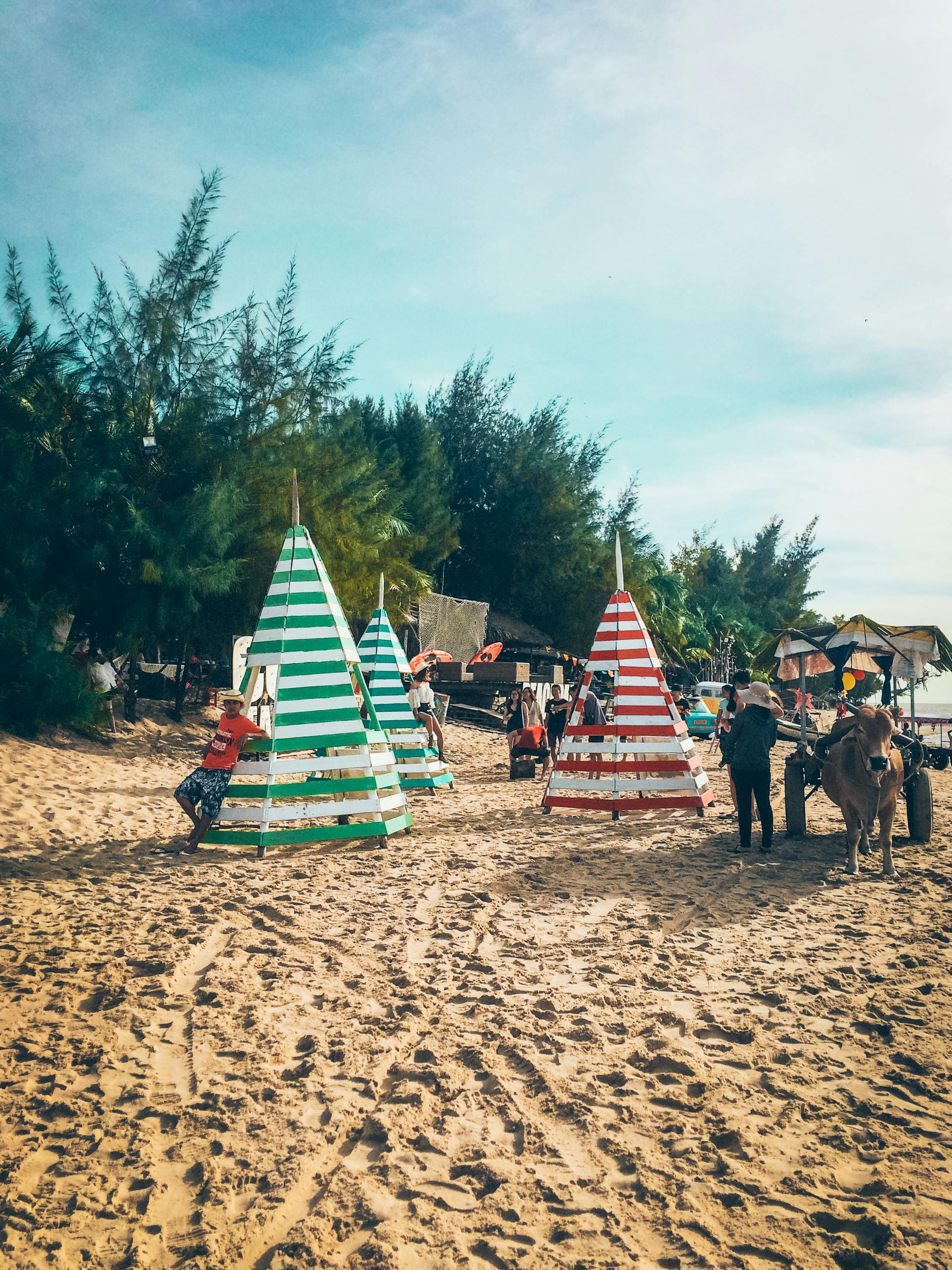 People Gathering on Seashore · Free Stock Photo