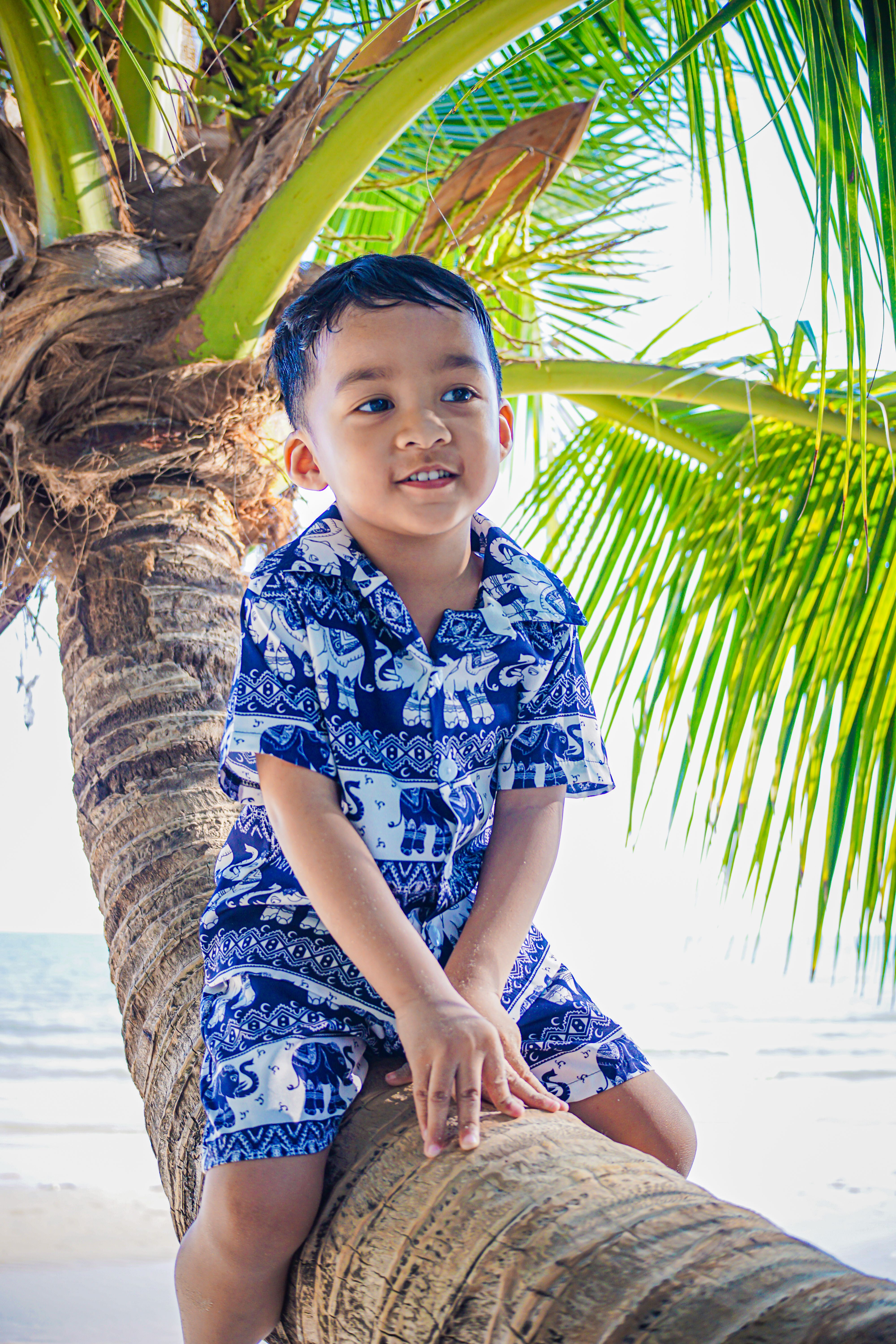 Boy Sitting on a Palm Tree · Free Stock Photo