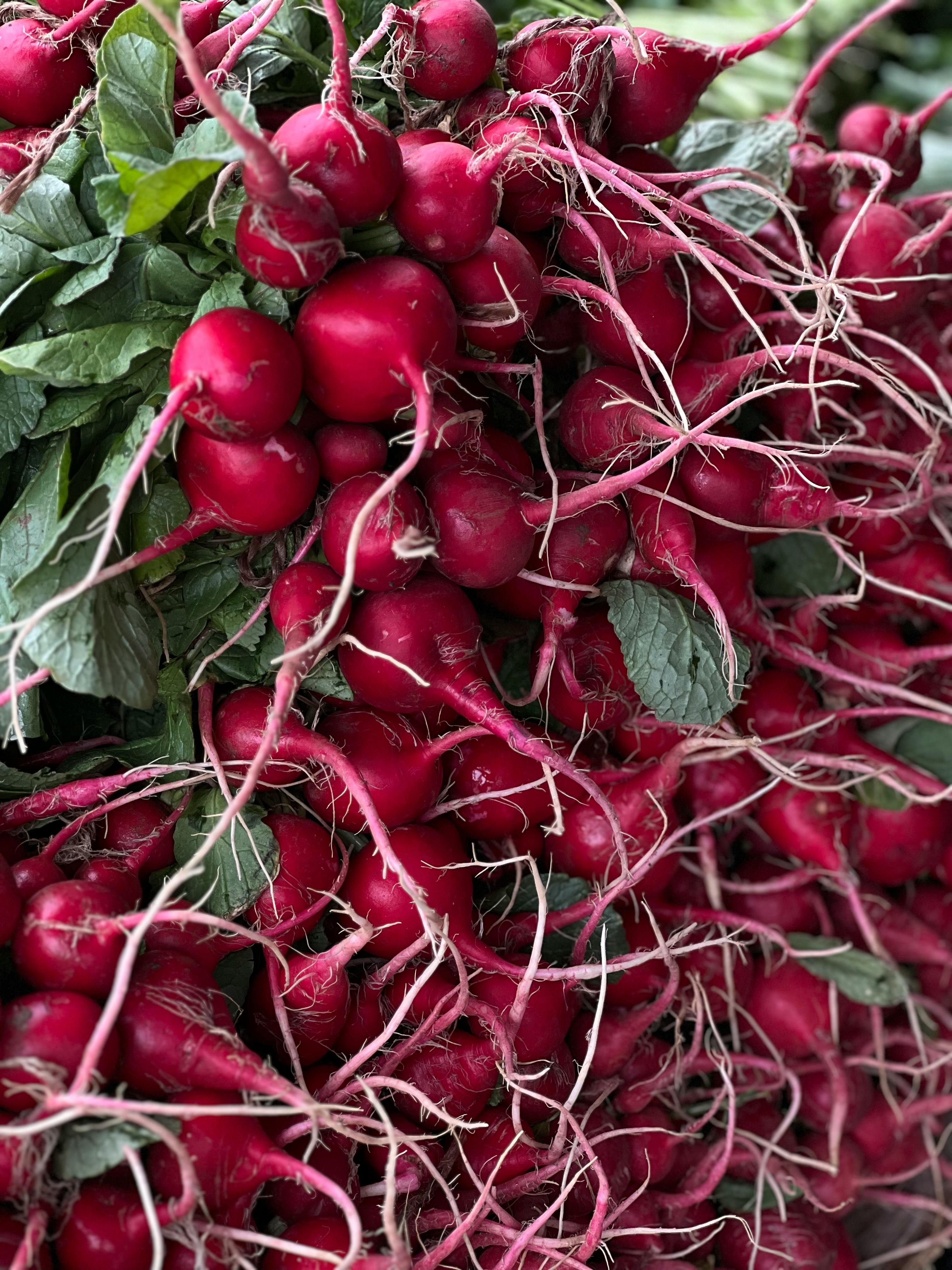 Foto de stock gratuita sobre abundancia, acción, batata, lila ...
