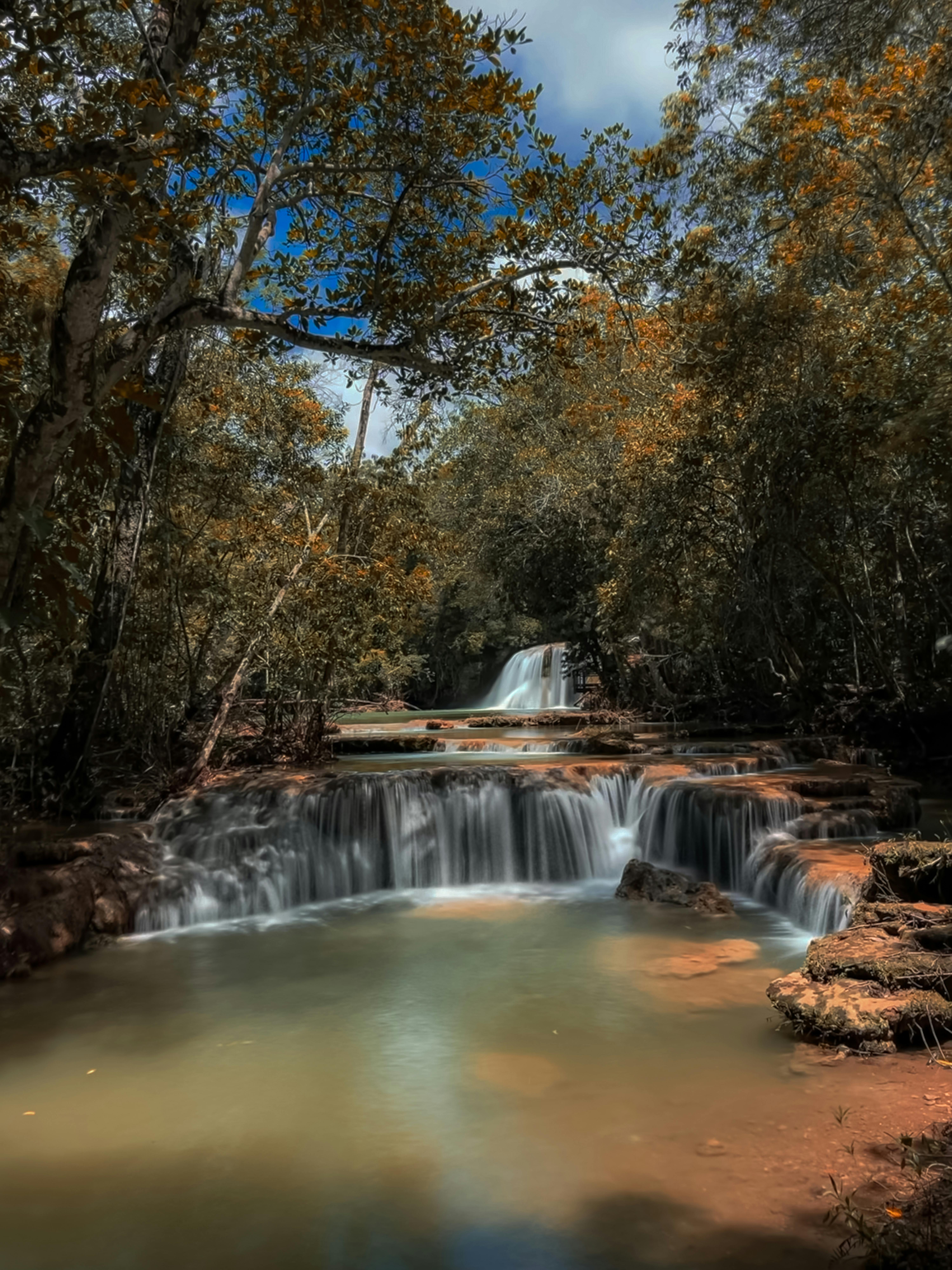 Waterfalls Flowing Near Trees · Free Stock Photo