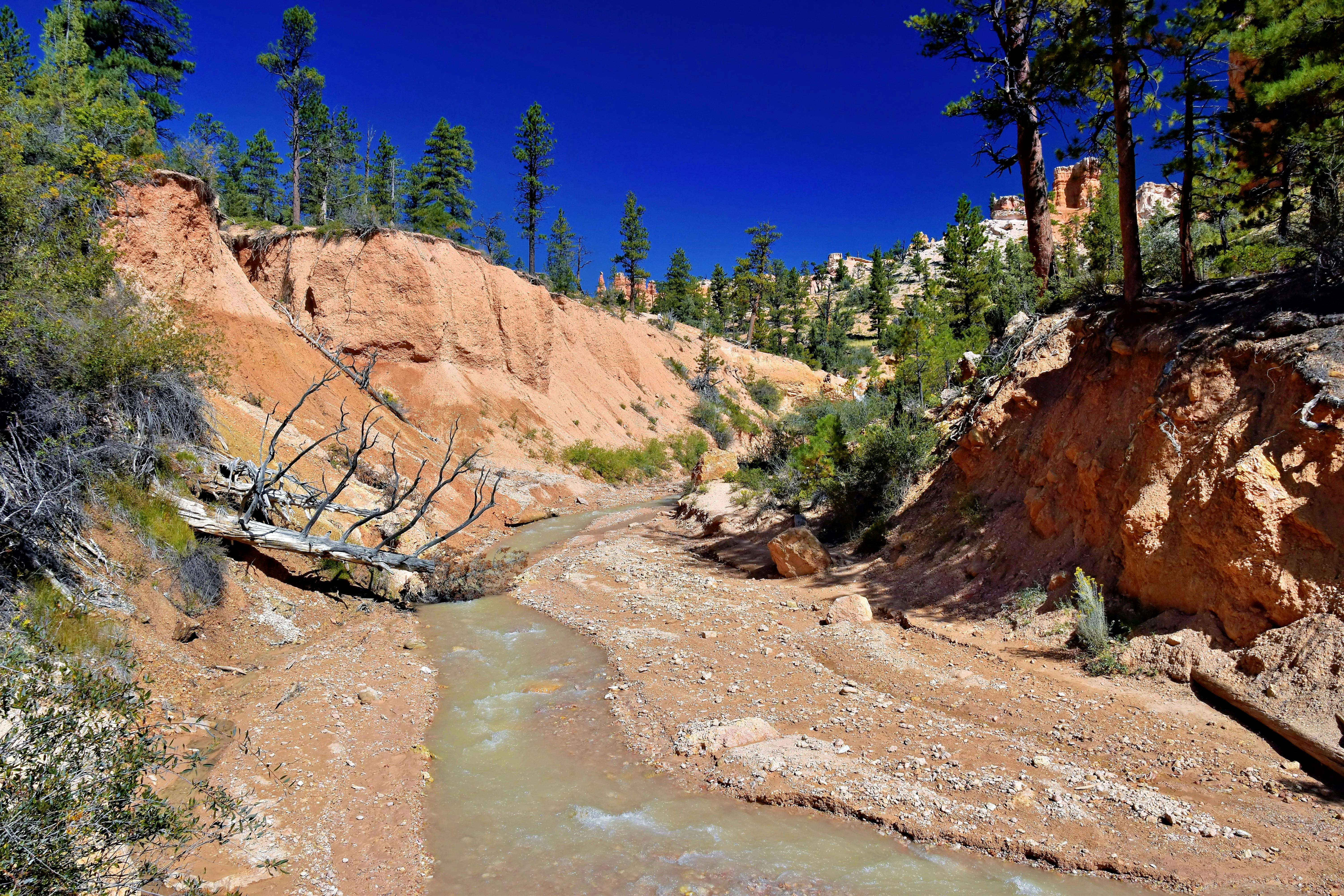 A stream running through a rocky canyon · Free Stock Photo
