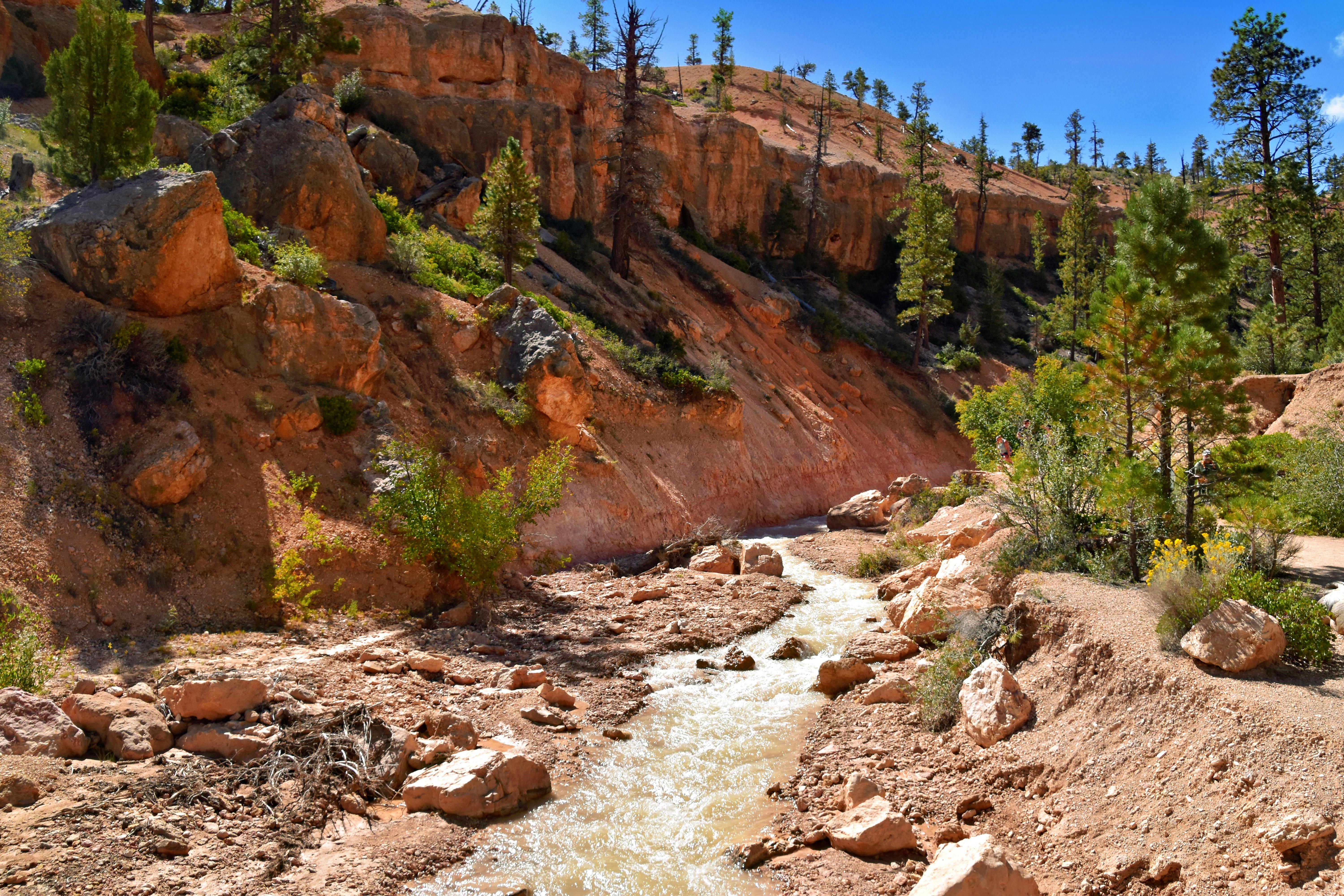 A stream running through a rocky canyon · Free Stock Photo