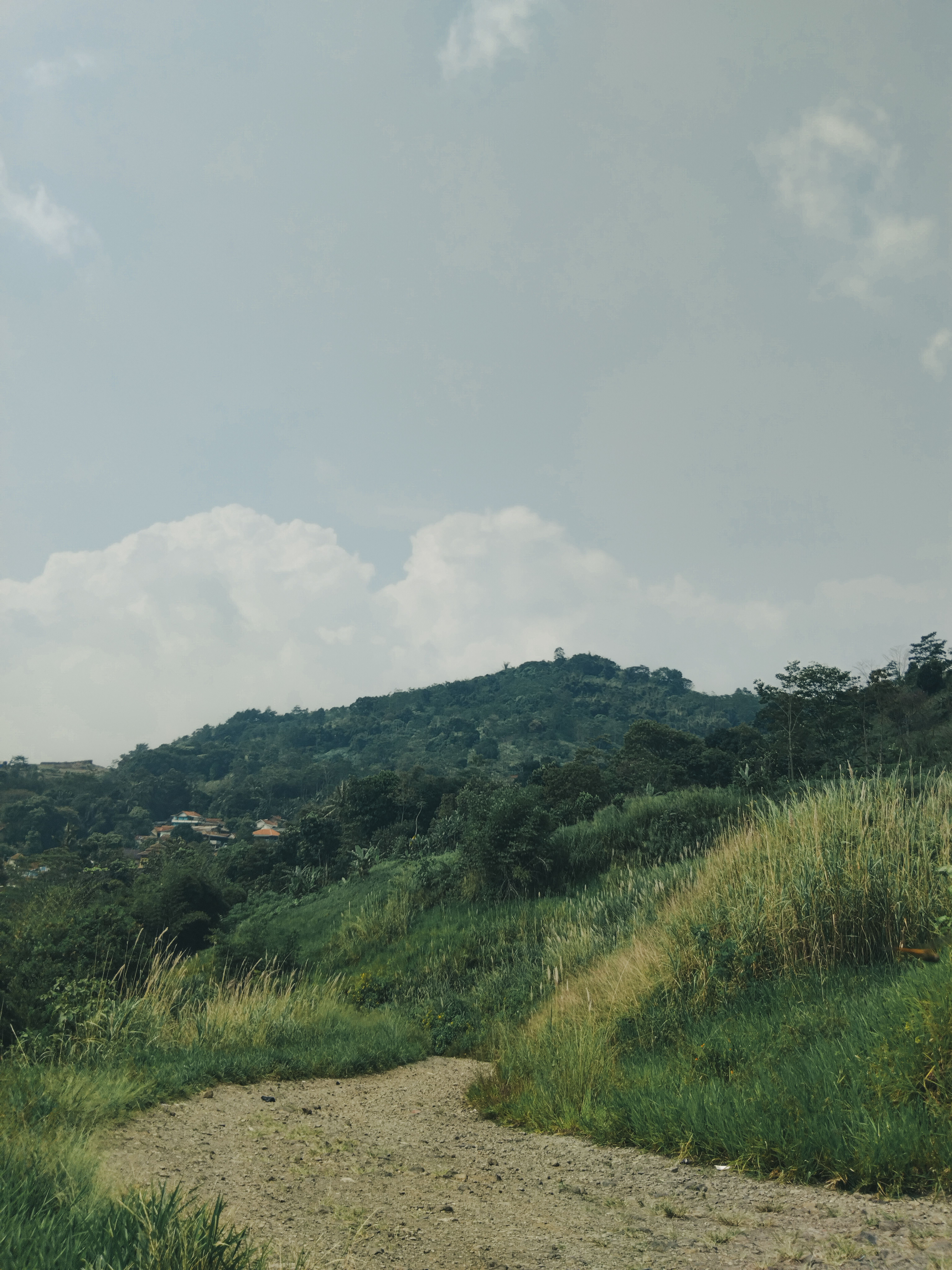 Dirt Path Leading up Grass Hill next to Village · Free Stock Photo