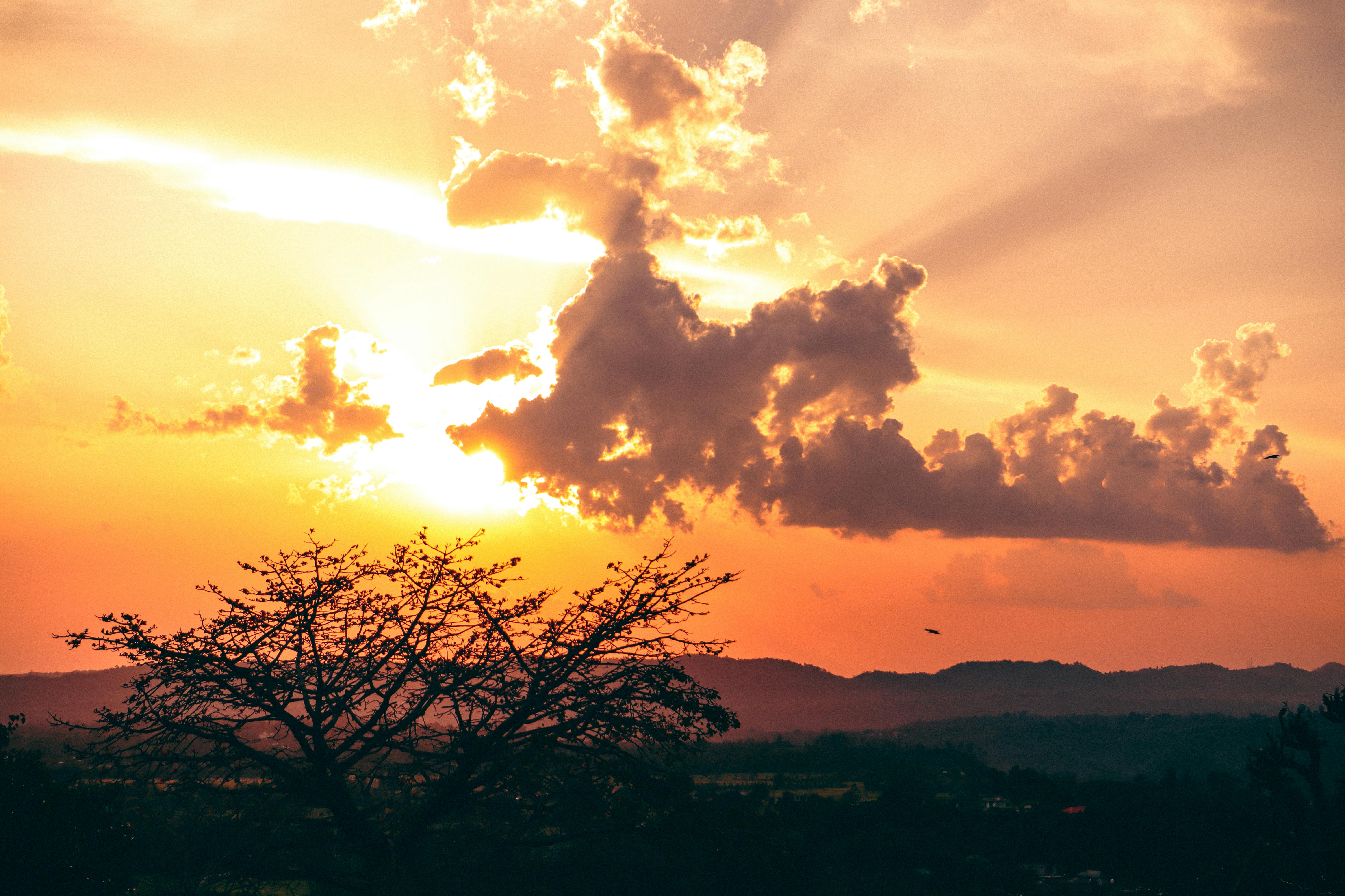 Anurag Jamwal - 사진