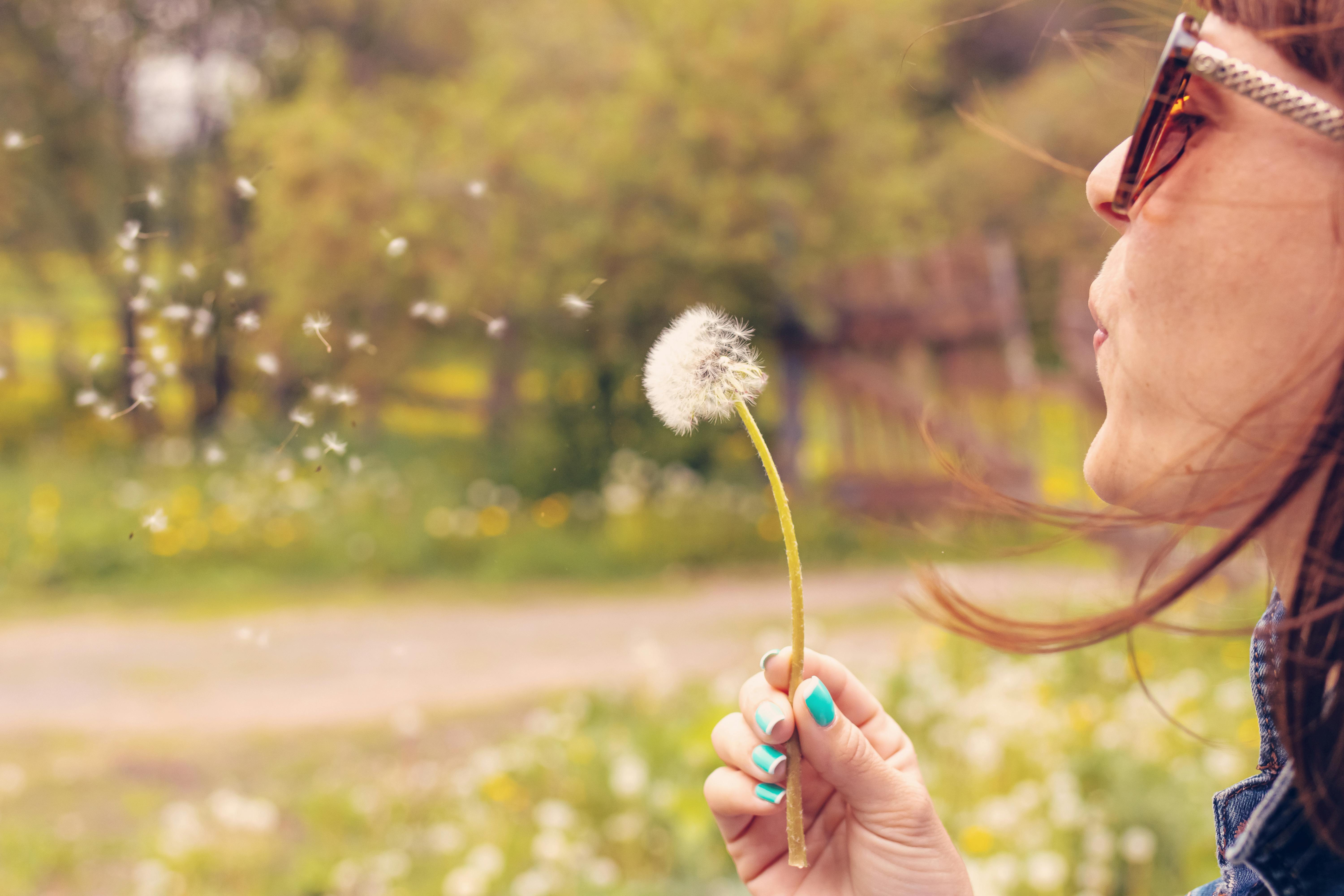 900+ Best Blow Photos · 100% Free Download · Pexels Stock Photos