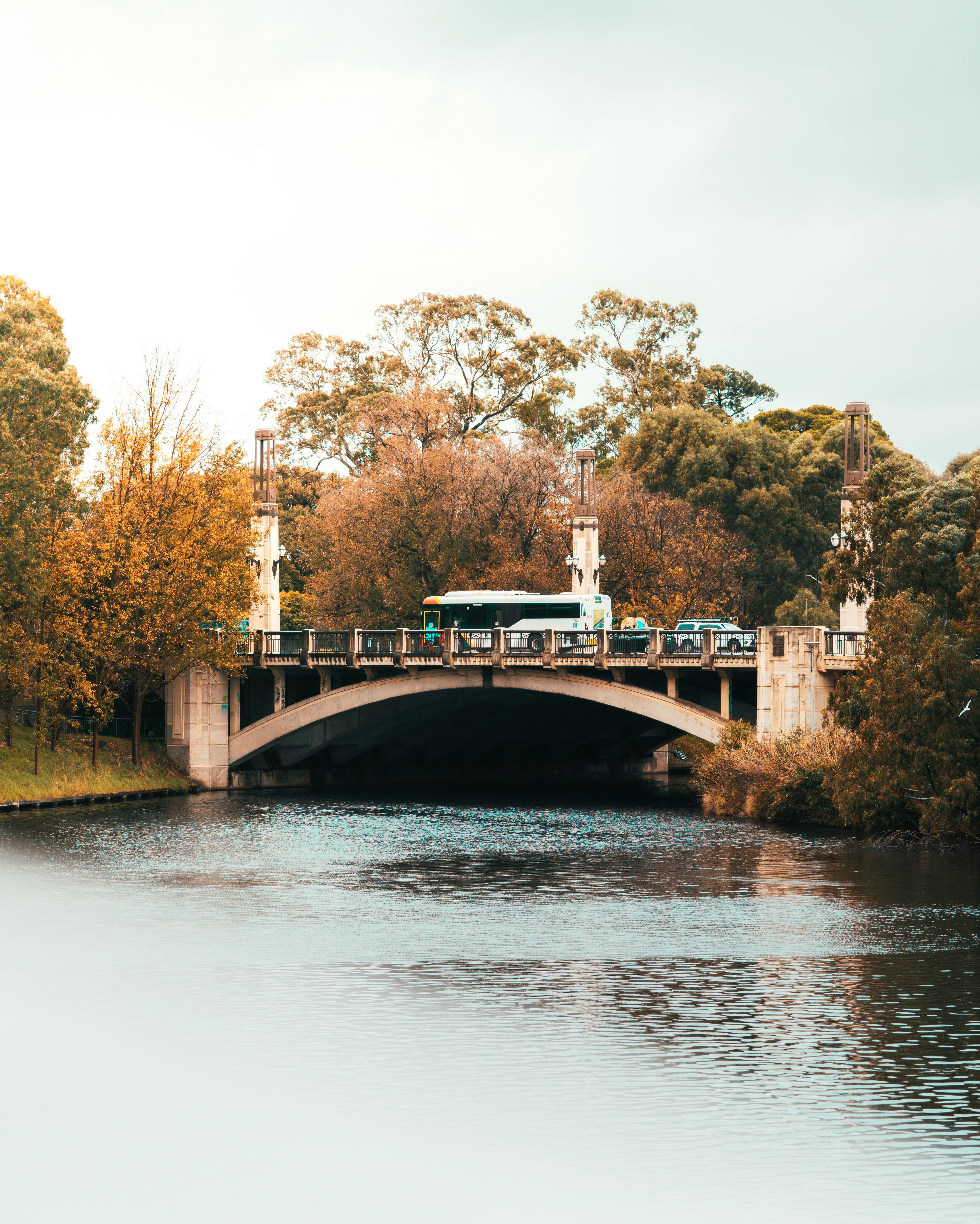 Cars on Top of Bridge · Free Stock Photo