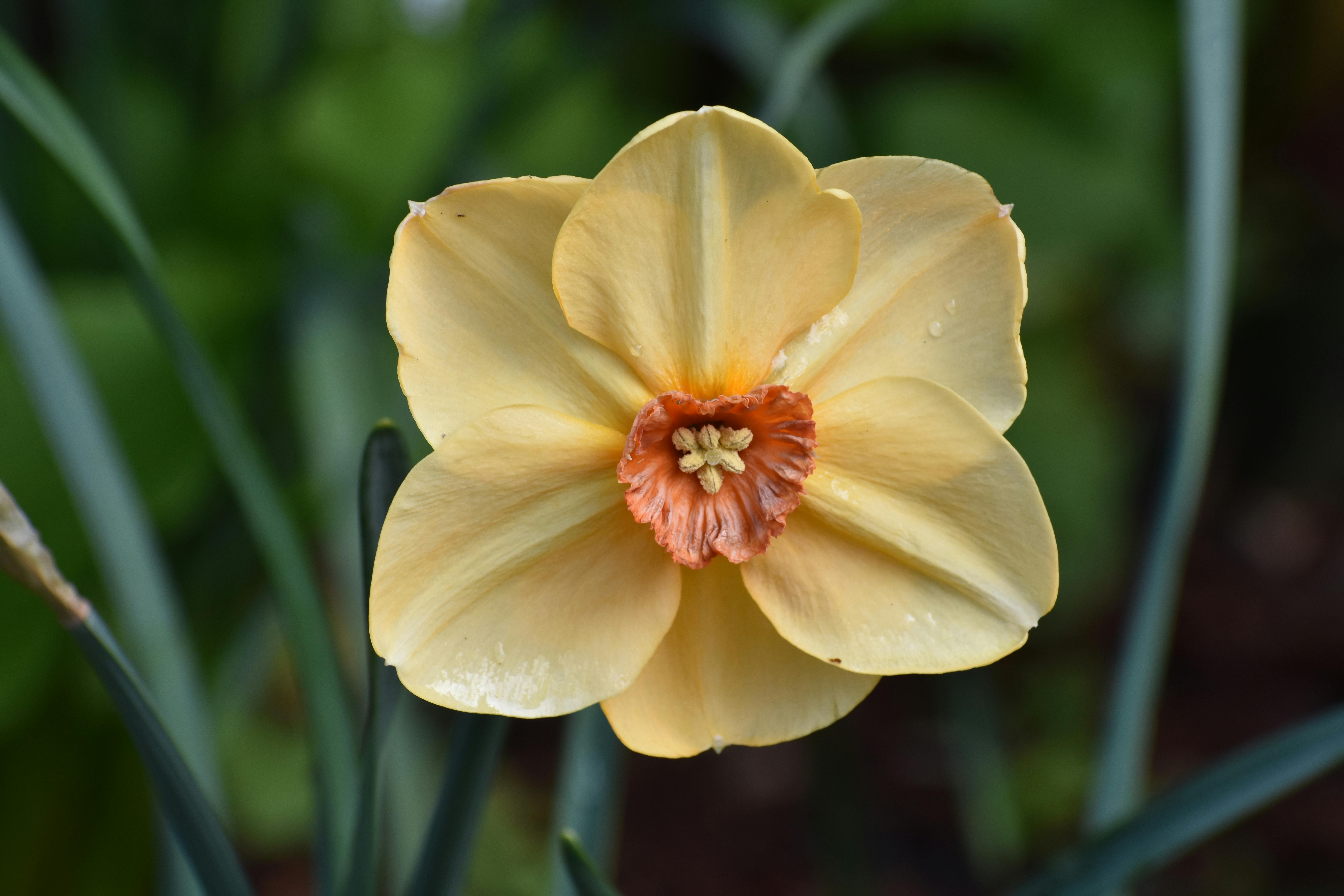 Physical Pixel - Photography