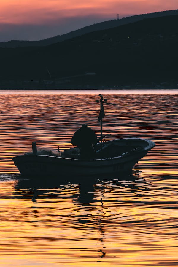 Sunset Boat Photos, Download The BEST Free Sunset Boat Stock Photos ...