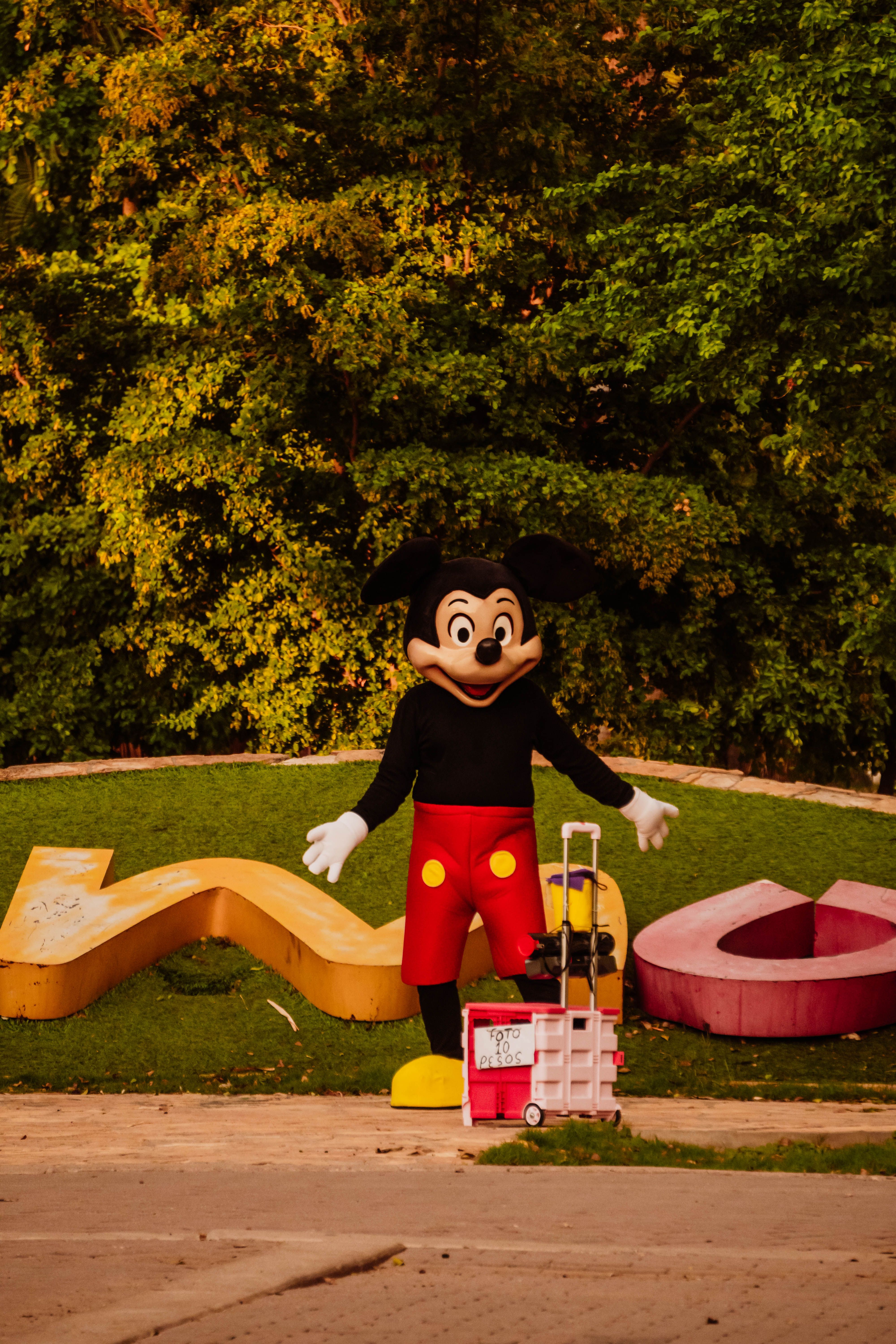 Foto de stock gratuita sobre arboles, carretilla, disfraz, disney ...