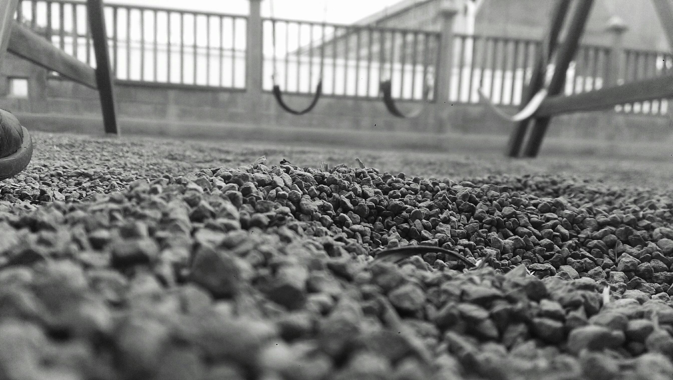 dicson gabriel - Fotografía