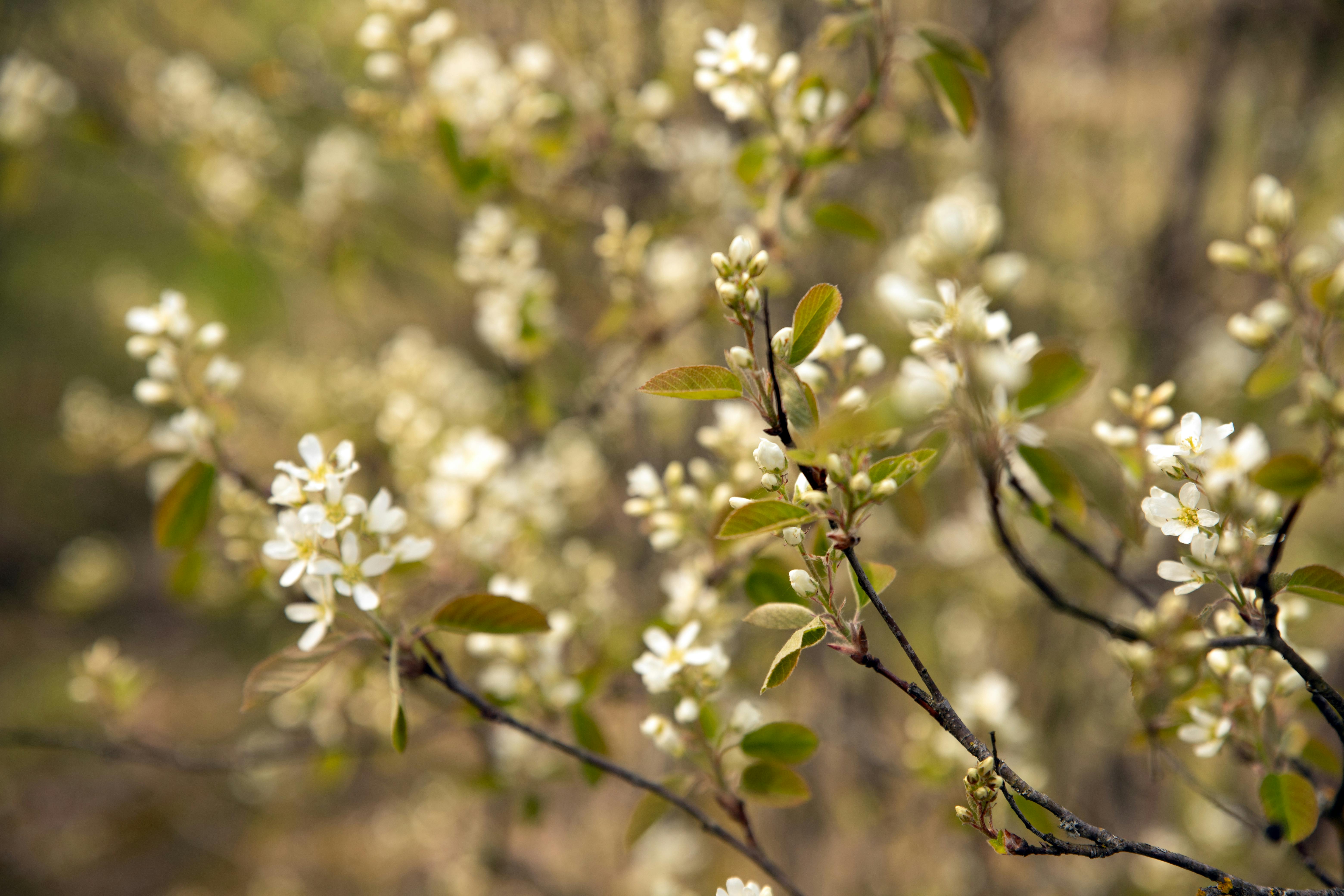 Lauma Augstkalne - Photography