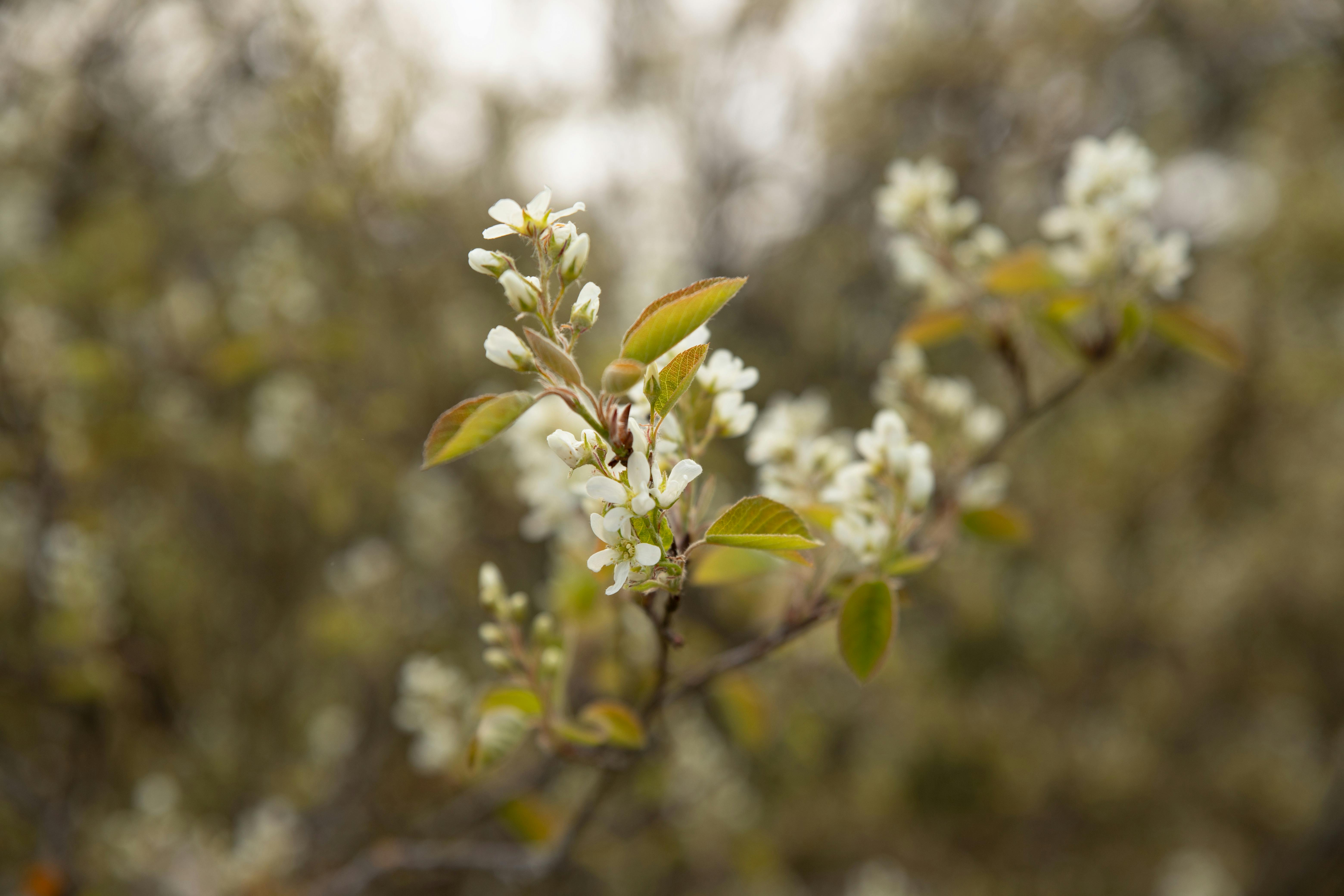 Lauma Augstkalne - Photography