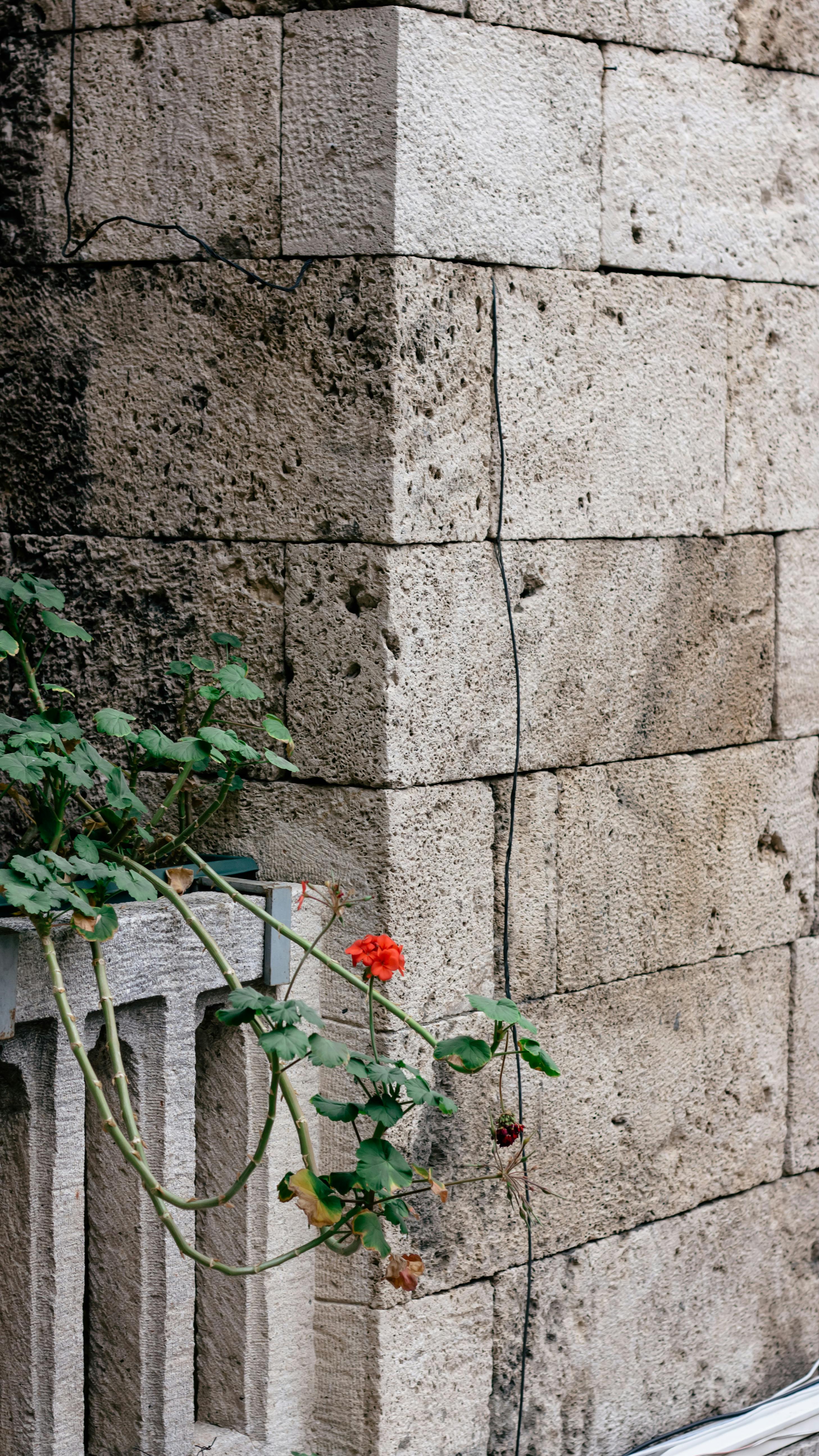 Corner Overtaking Photos, Download The BEST Free Corner Overtaking ...