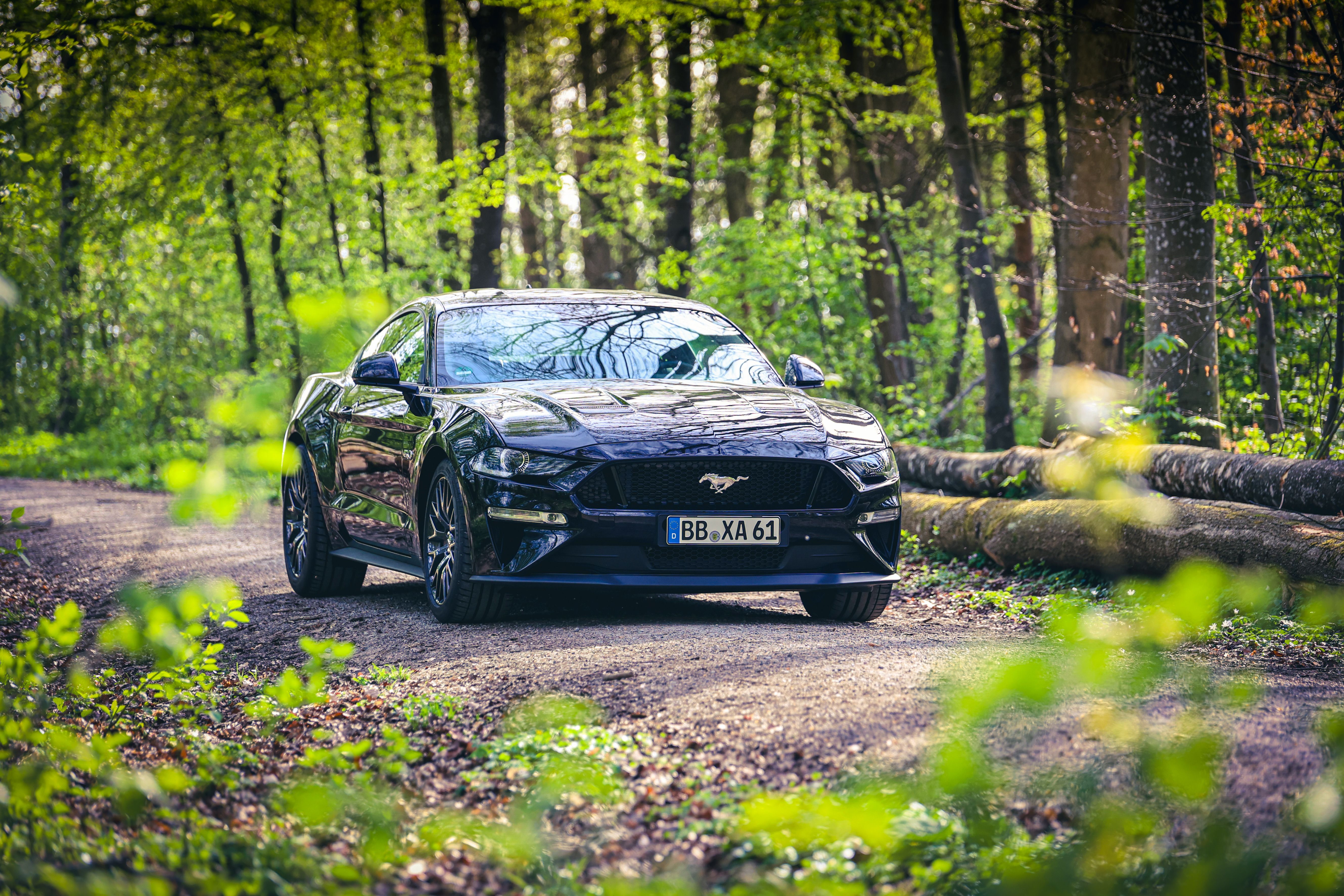 Ford Mustang in a Forest · Free Stock Photo