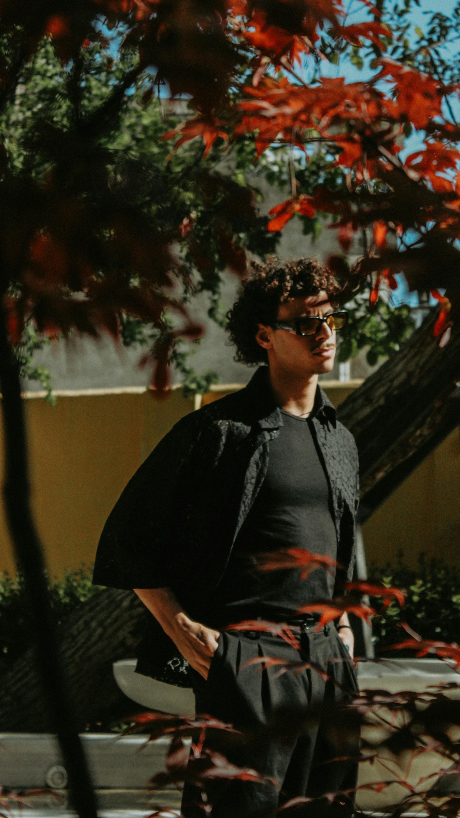 Italian Mustache Photos, Download The BEST Free Italian Mustache Stock ...