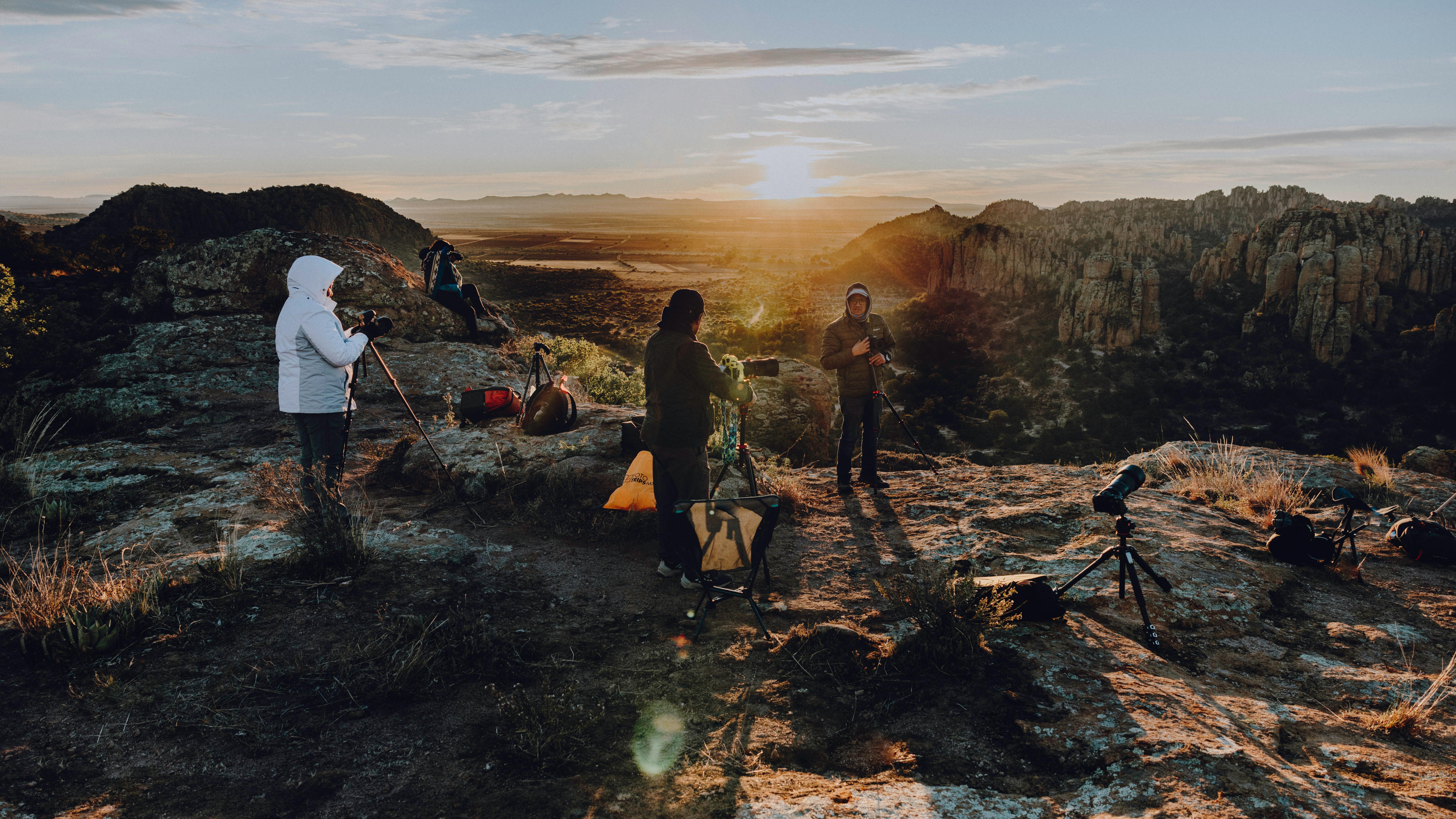 Passion Tez Photos, Download The BEST Free Passion Tez Stock Photos ...