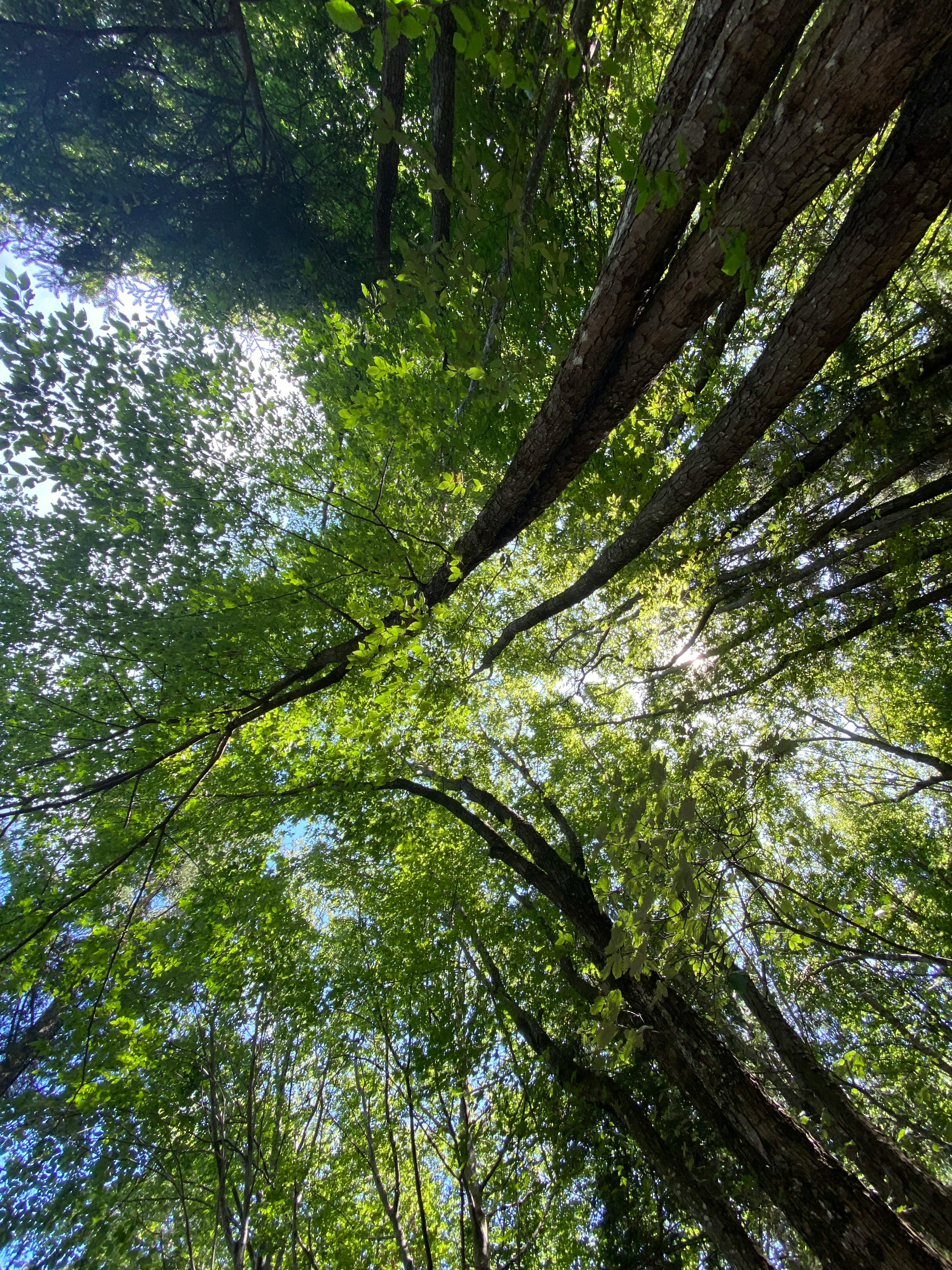 Federica Castucci - Photography