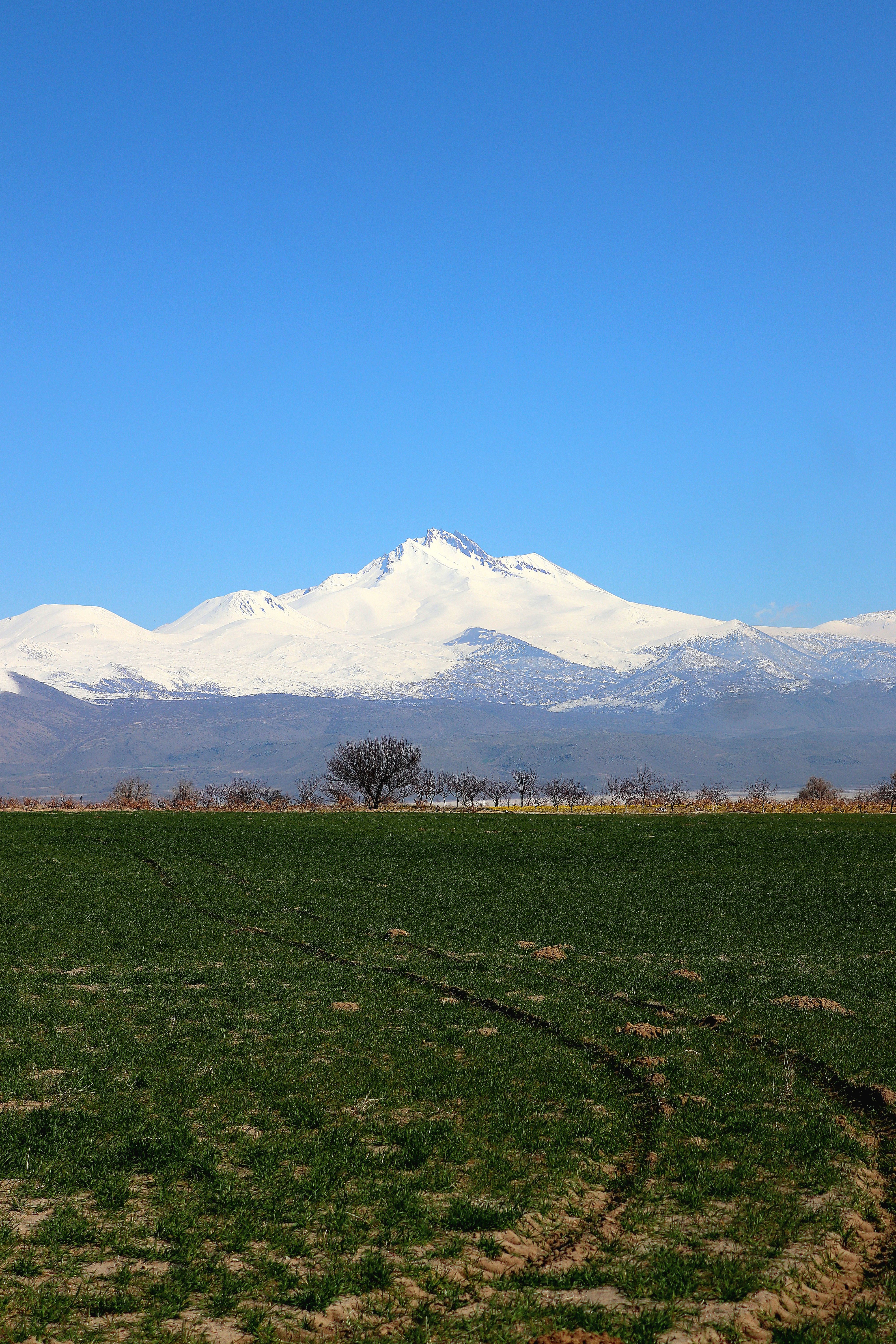 Grassland in Front of Mount Erciyes in Turkey · Free Stock Photo