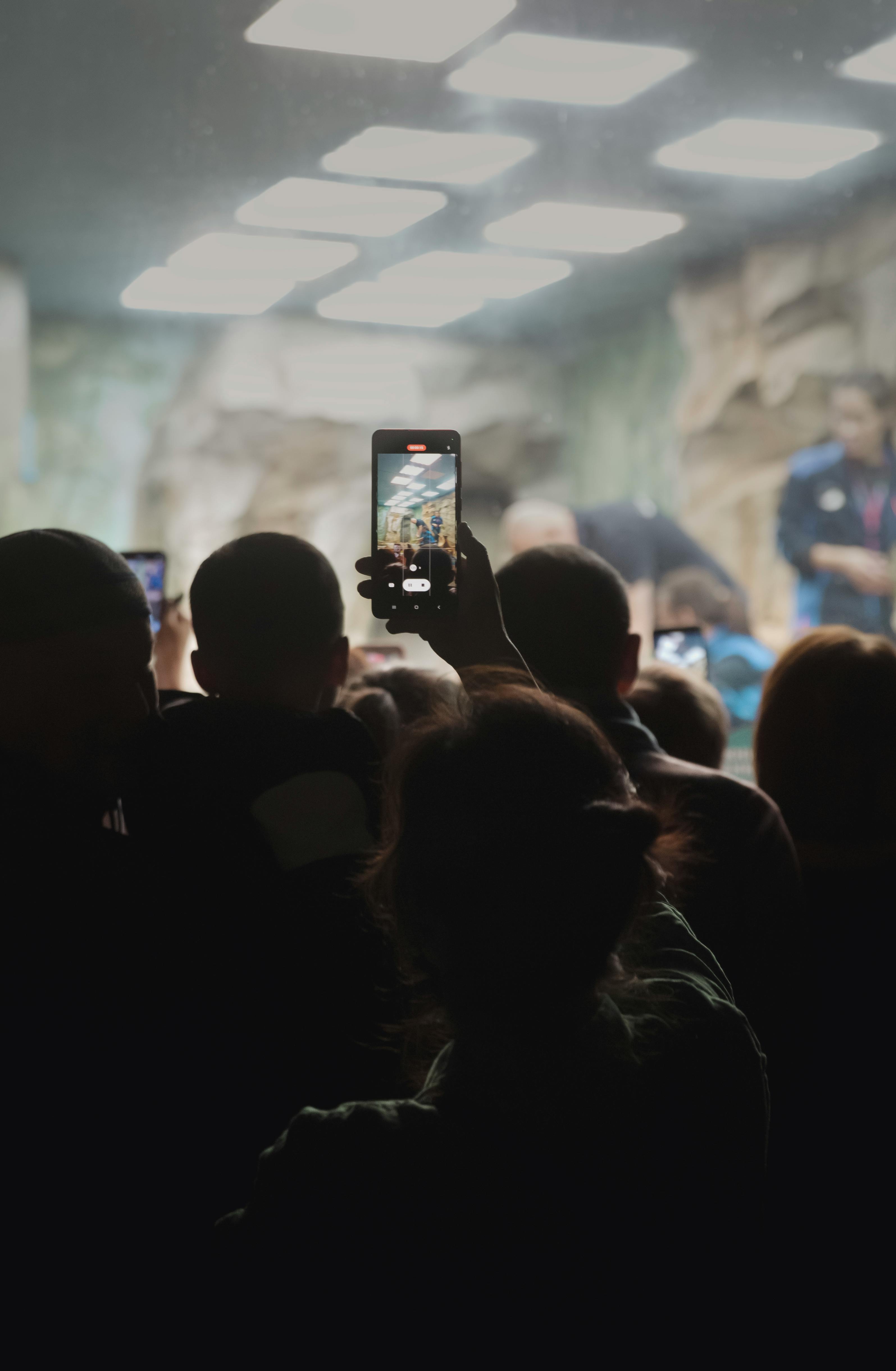 People Filming with Smartphones · Free Stock Photo