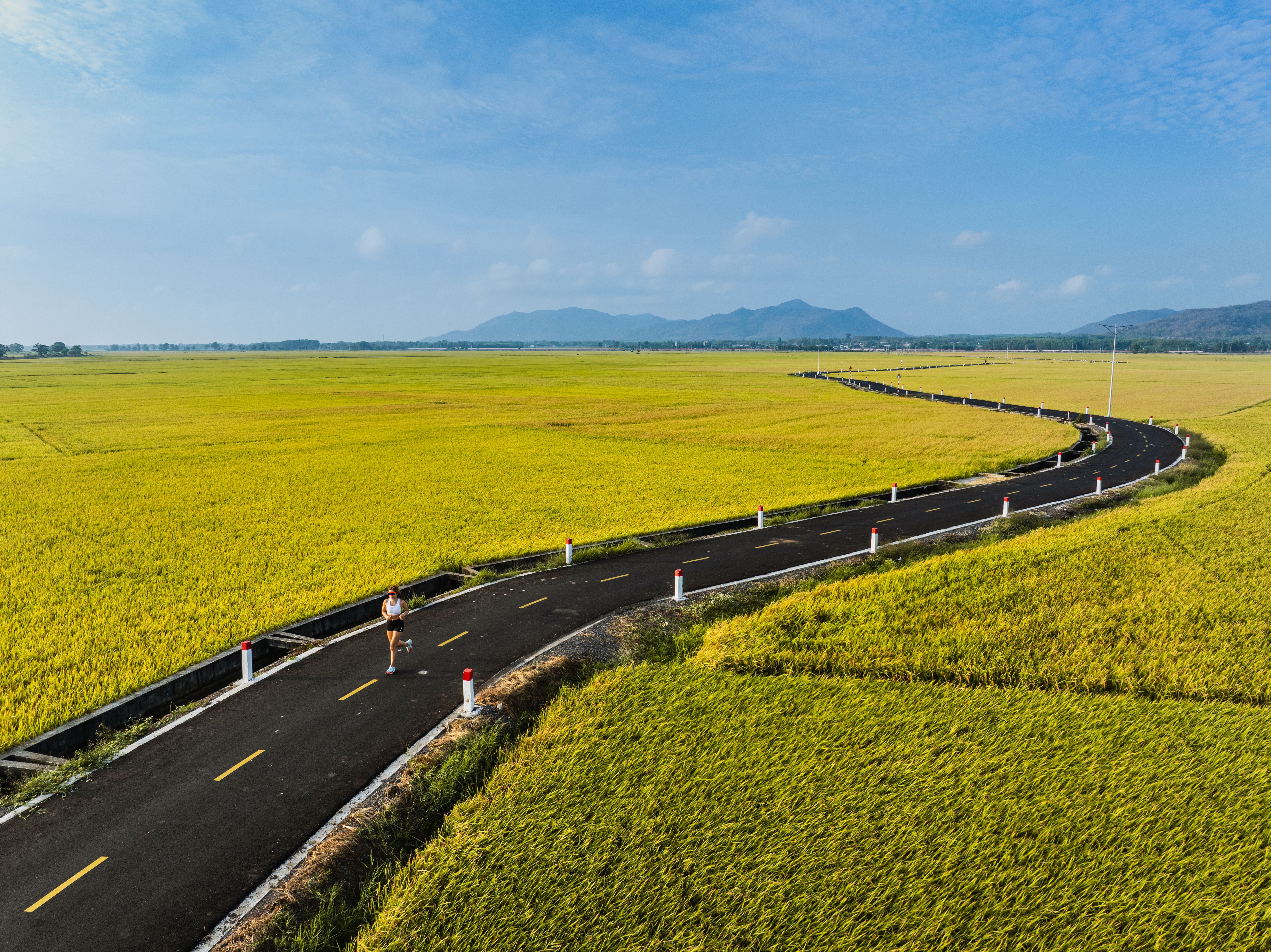 Runner on Rural Road · Free Stock Photo