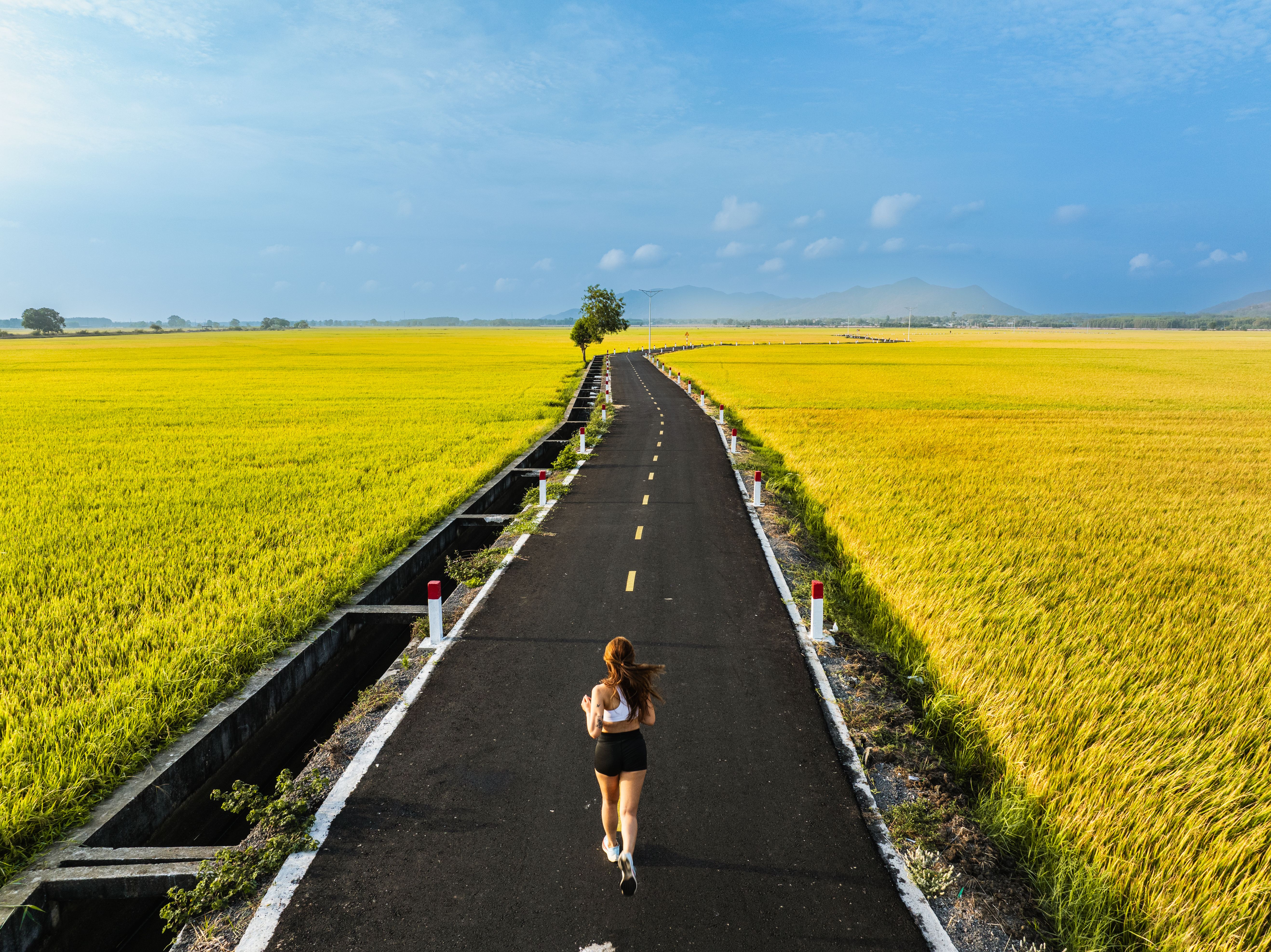 Woman Running on Road between Fields · Free Stock Photo