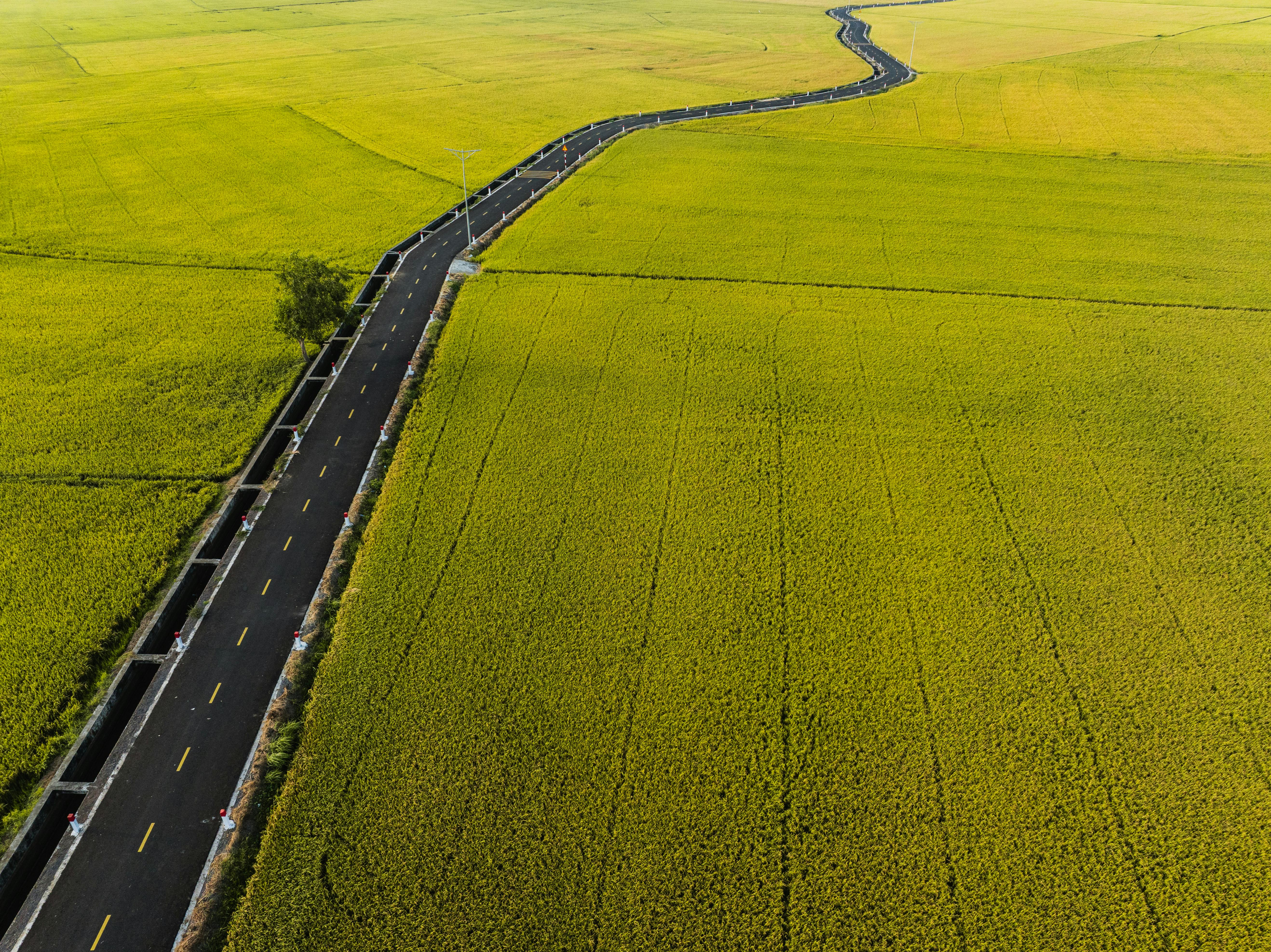 Road Going Through Farming Fields · Free Stock Photo