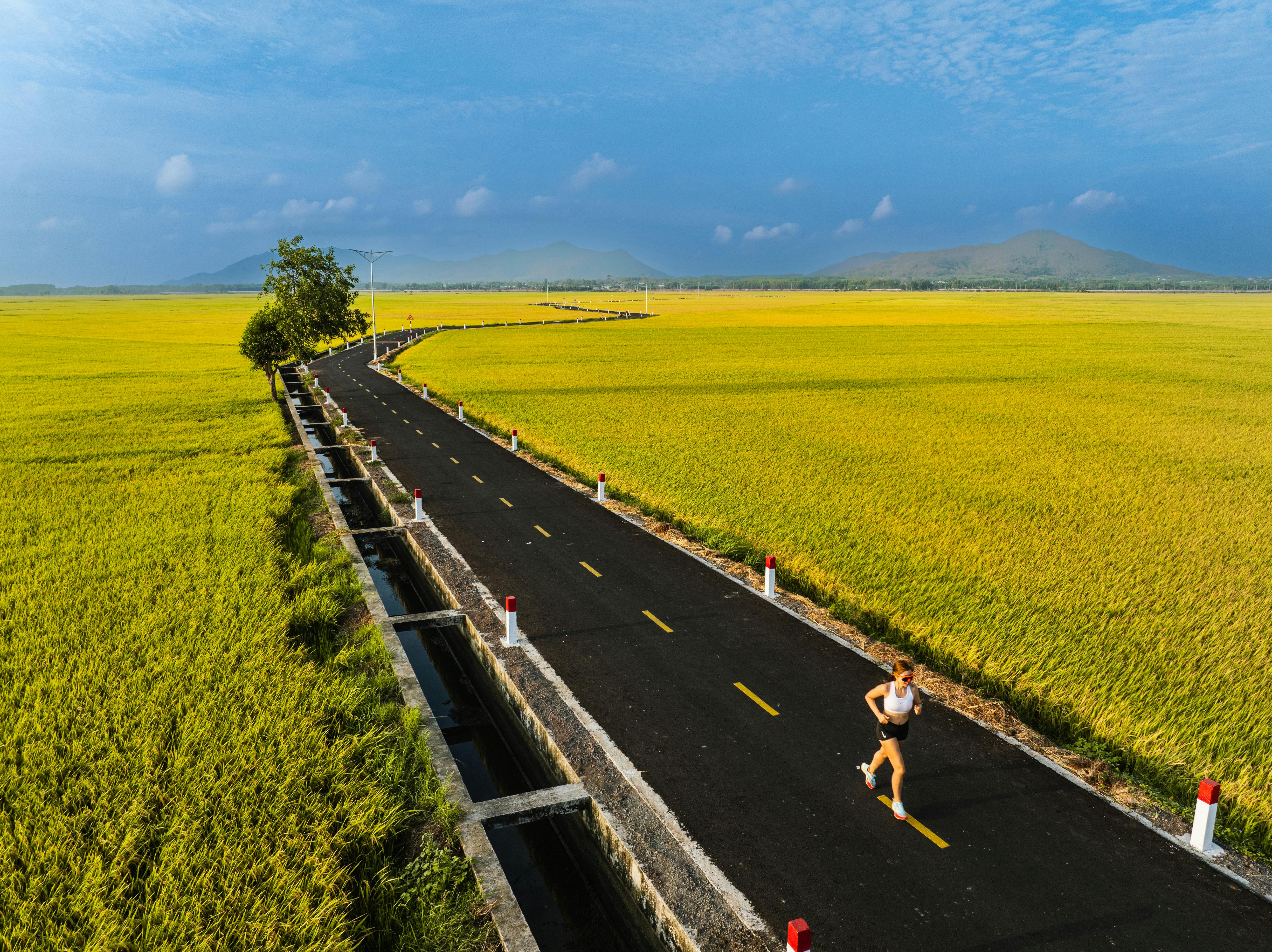 Runner on Road Between Fields in Countryside · Free Stock Photo