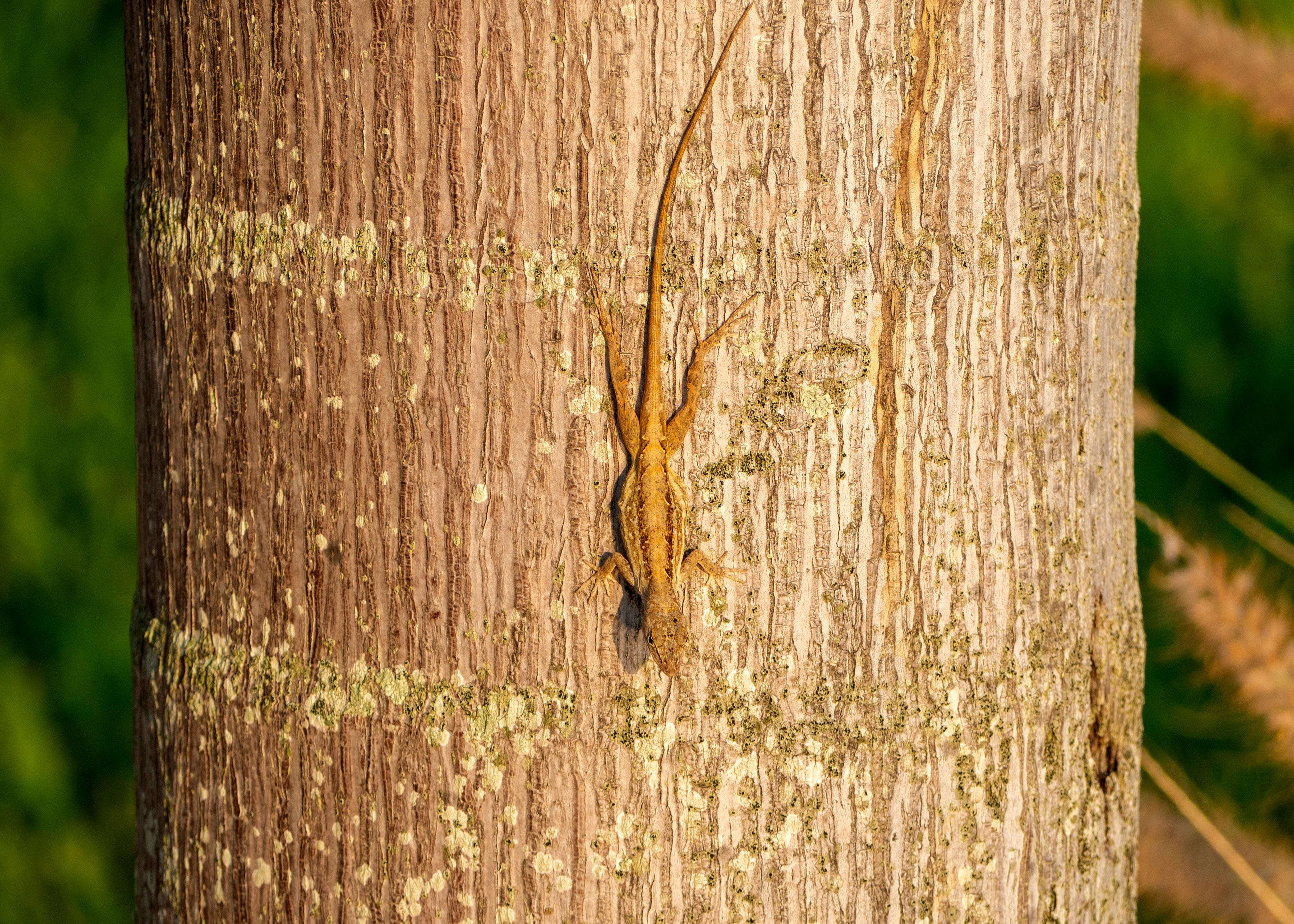 Florida Generic Photos, Download The BEST Free Florida Generic Stock ...