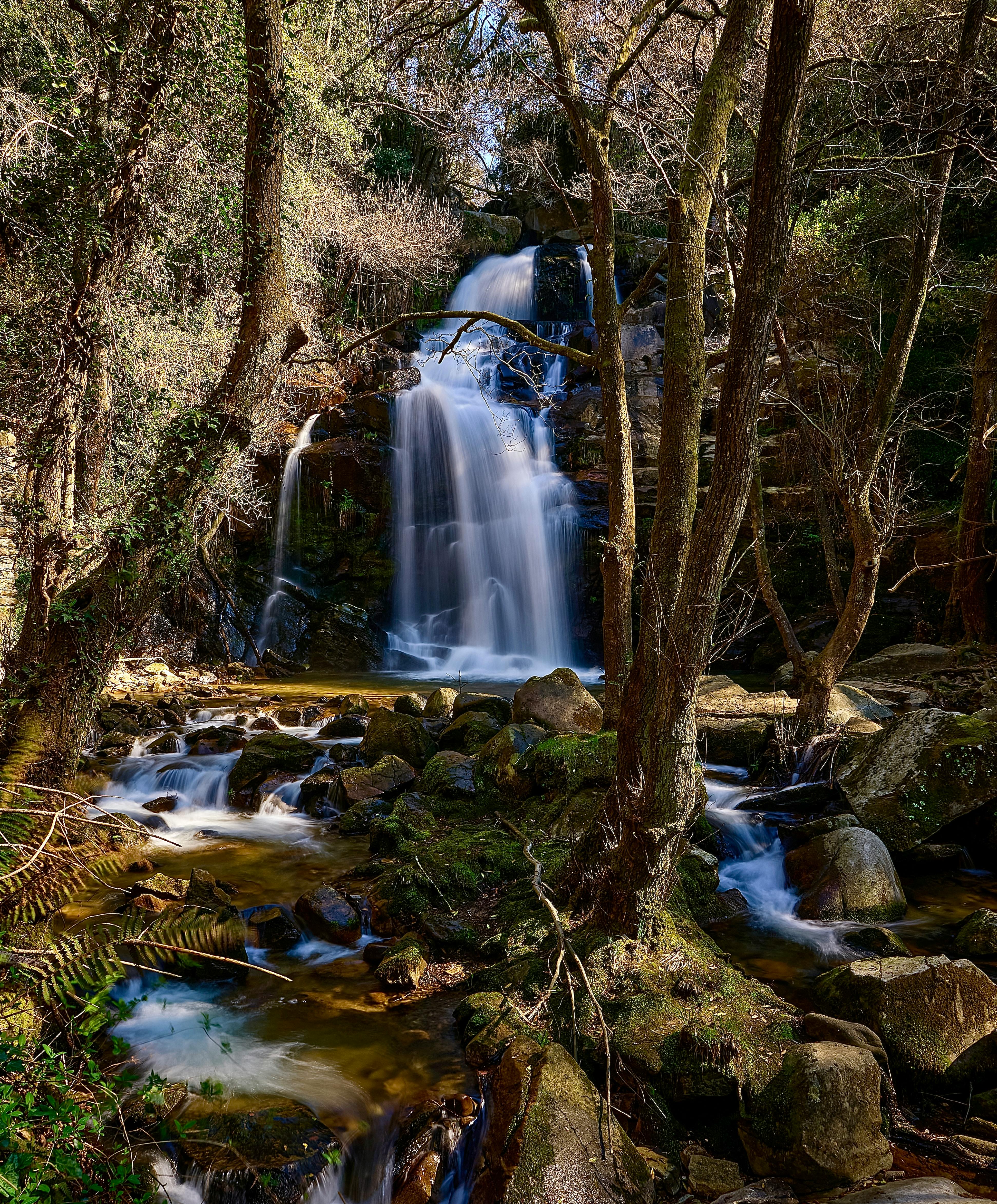 Waterfall on Rocks in Forest · Free Stock Photo
