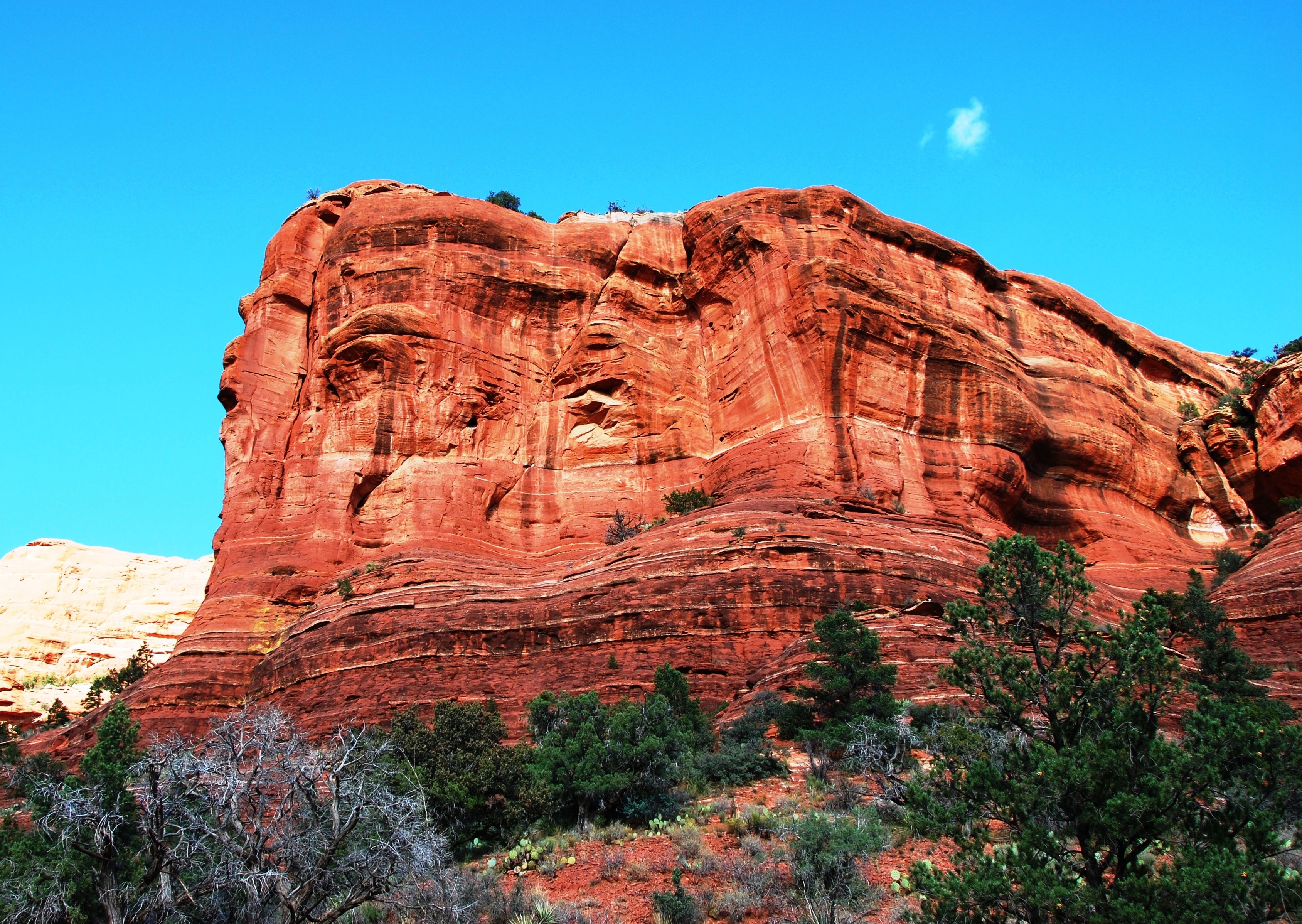 A large rock formation with trees and clouds · Free Stock Photo