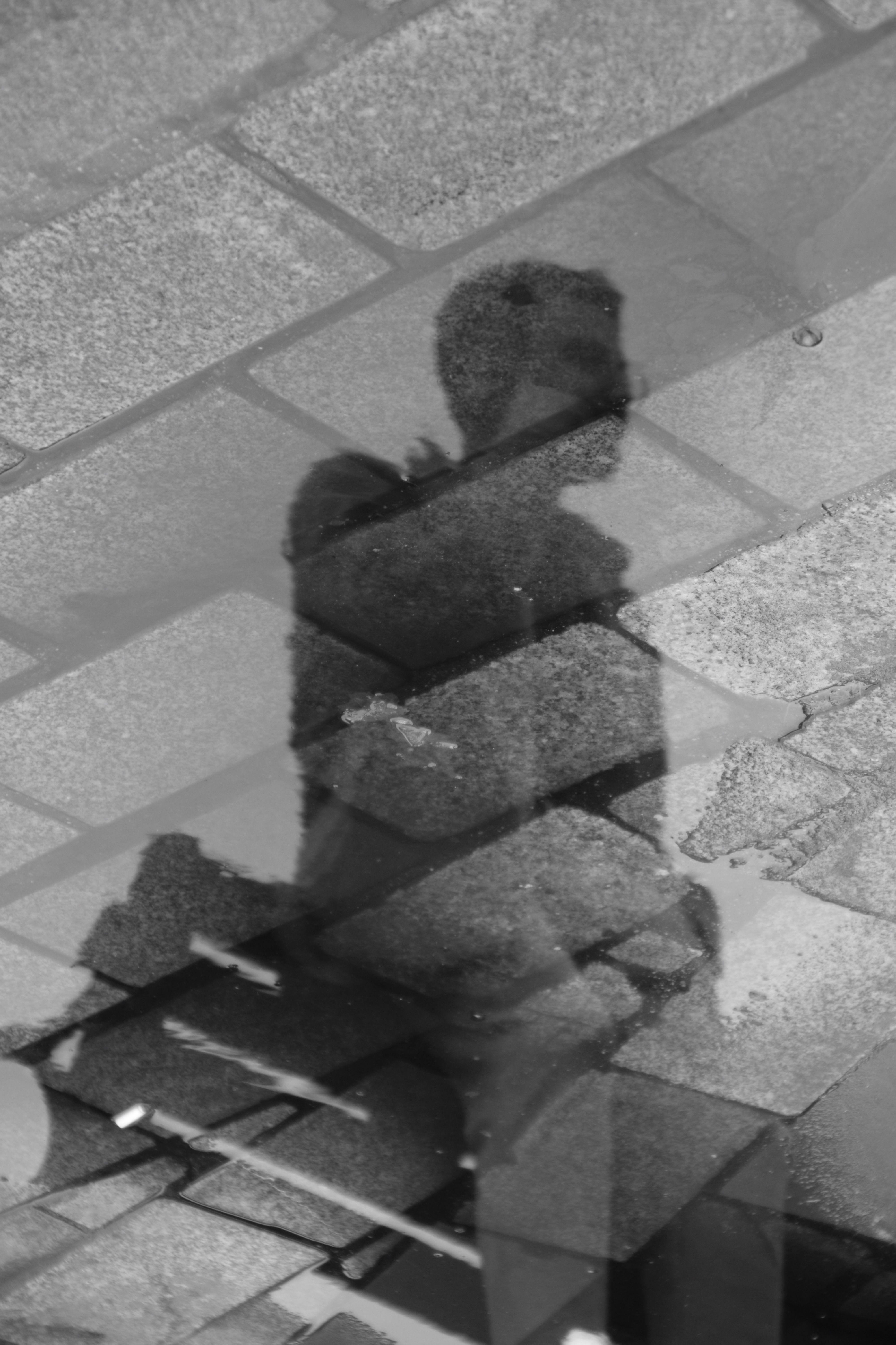 Sitting Man Reflection in Puddle · Free Stock Photo