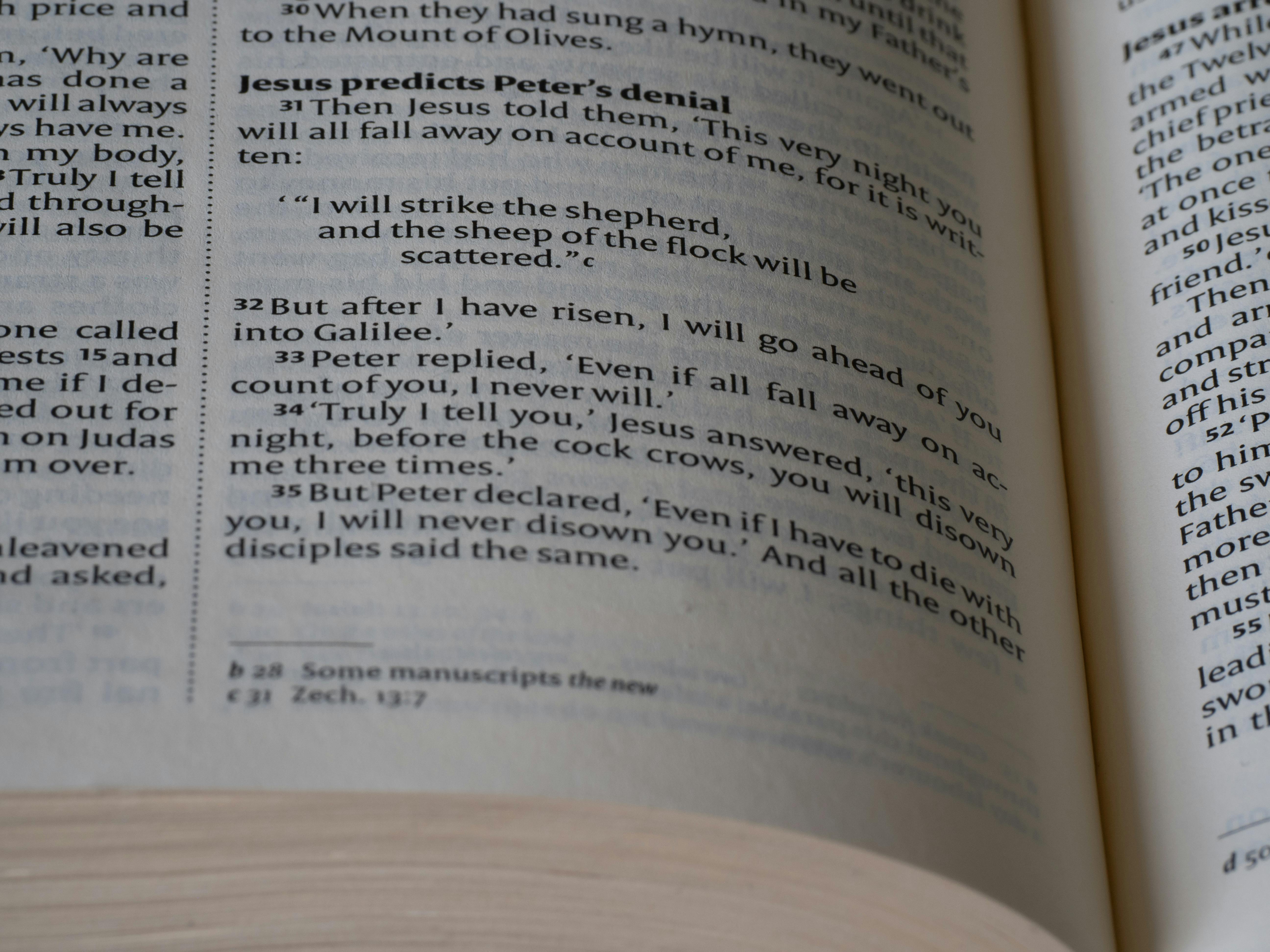 Brett Jordan - Fotografía